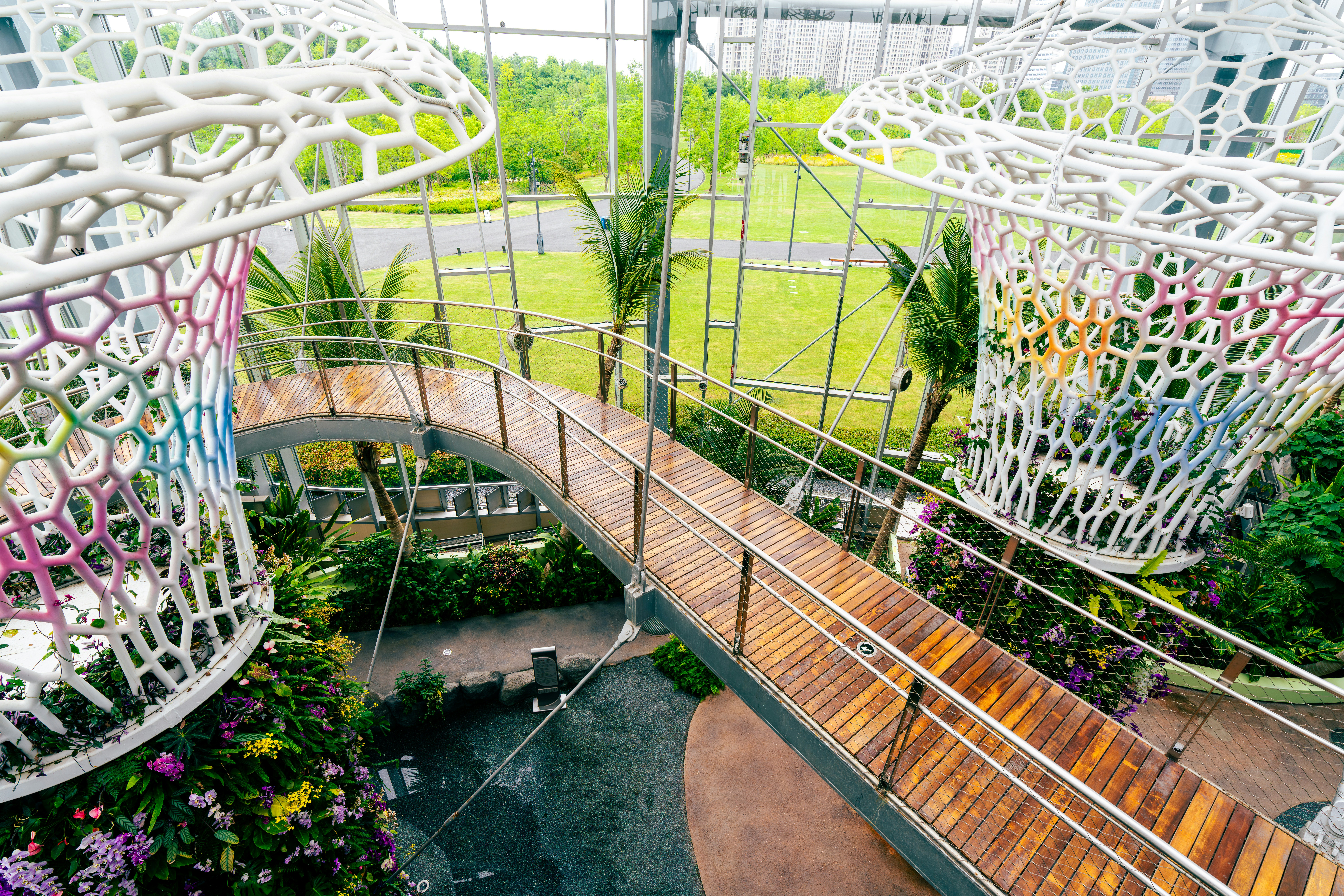 Suspended wooden boardwalk weaving through a glass canopy garden
