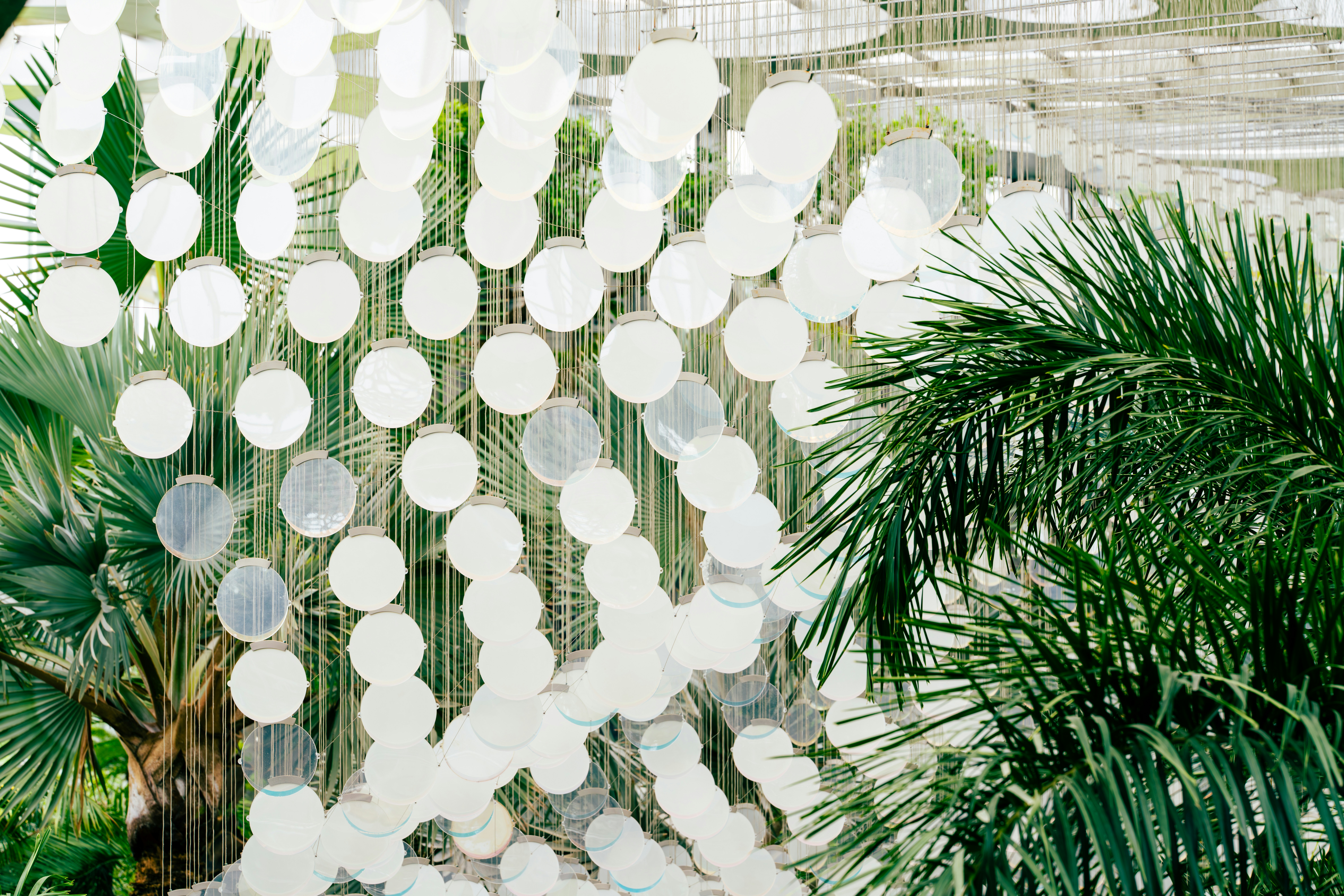 Floating Orbs Among Emerald Foliage