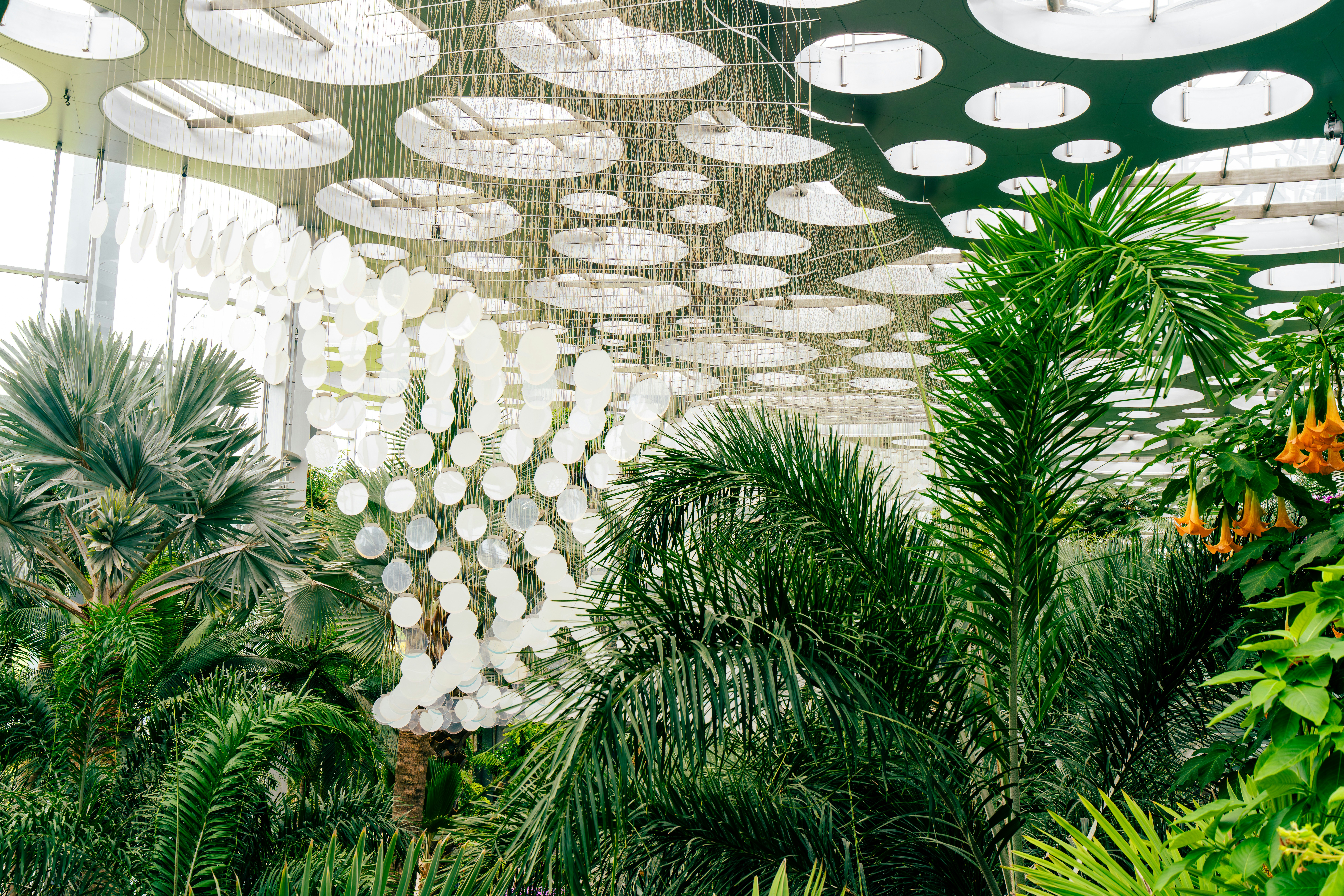 Vertical Oasis: Greenhouse Canopy of Circles and Foliage
