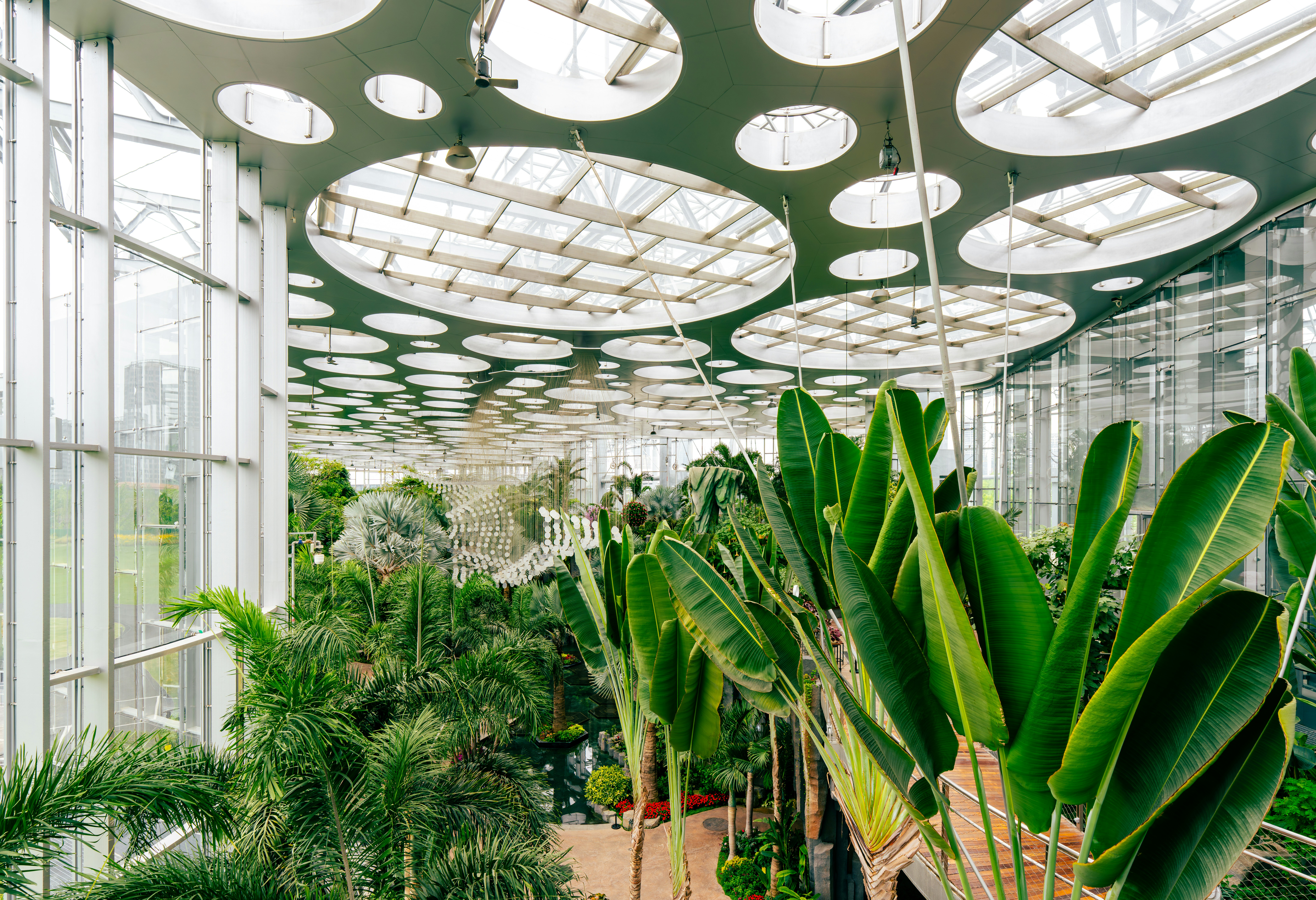 Vertical Oasis: A Glasshouse Symphony of Green