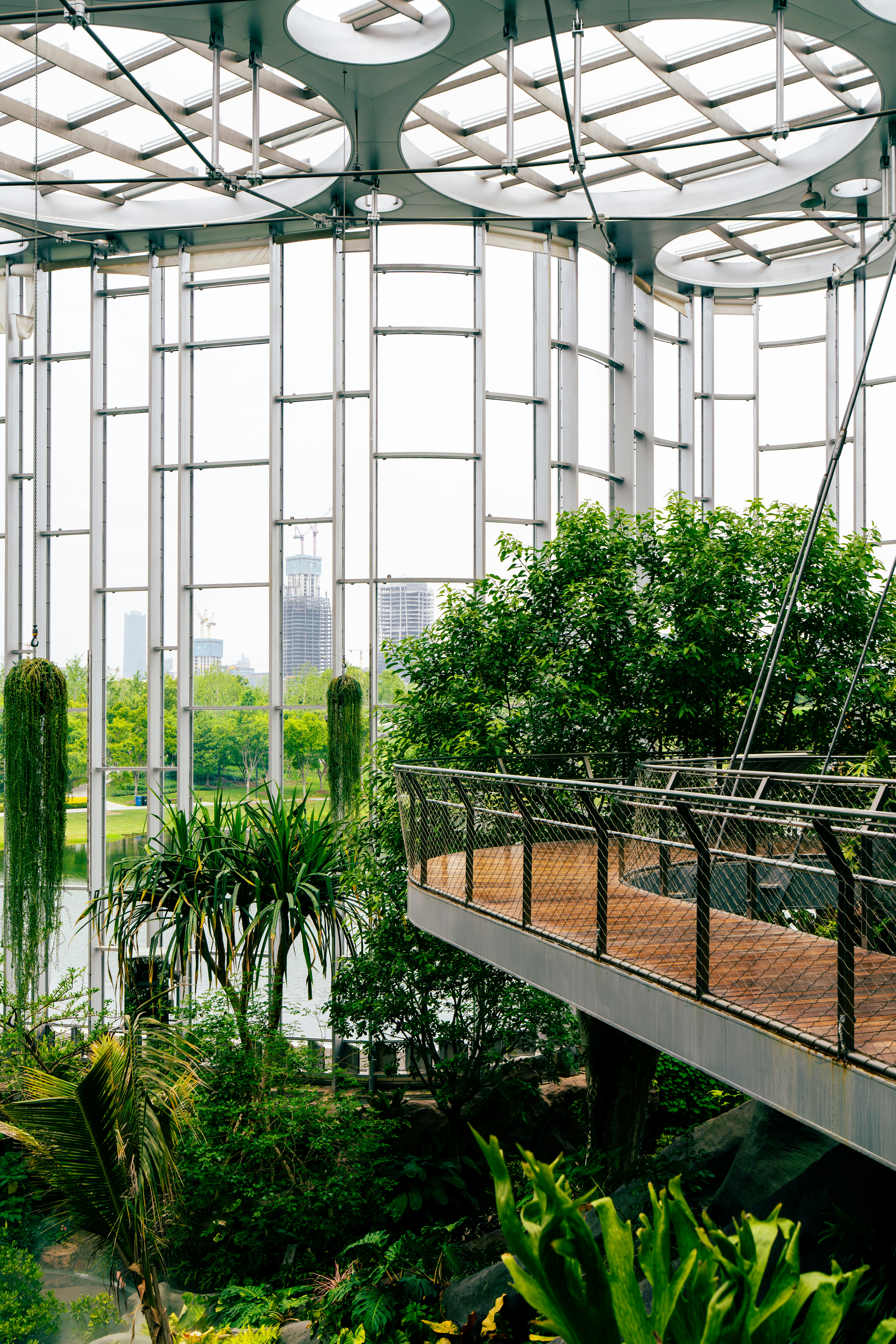 Glass Conservatory Overlook: Steel Archways and Verdant Terrace