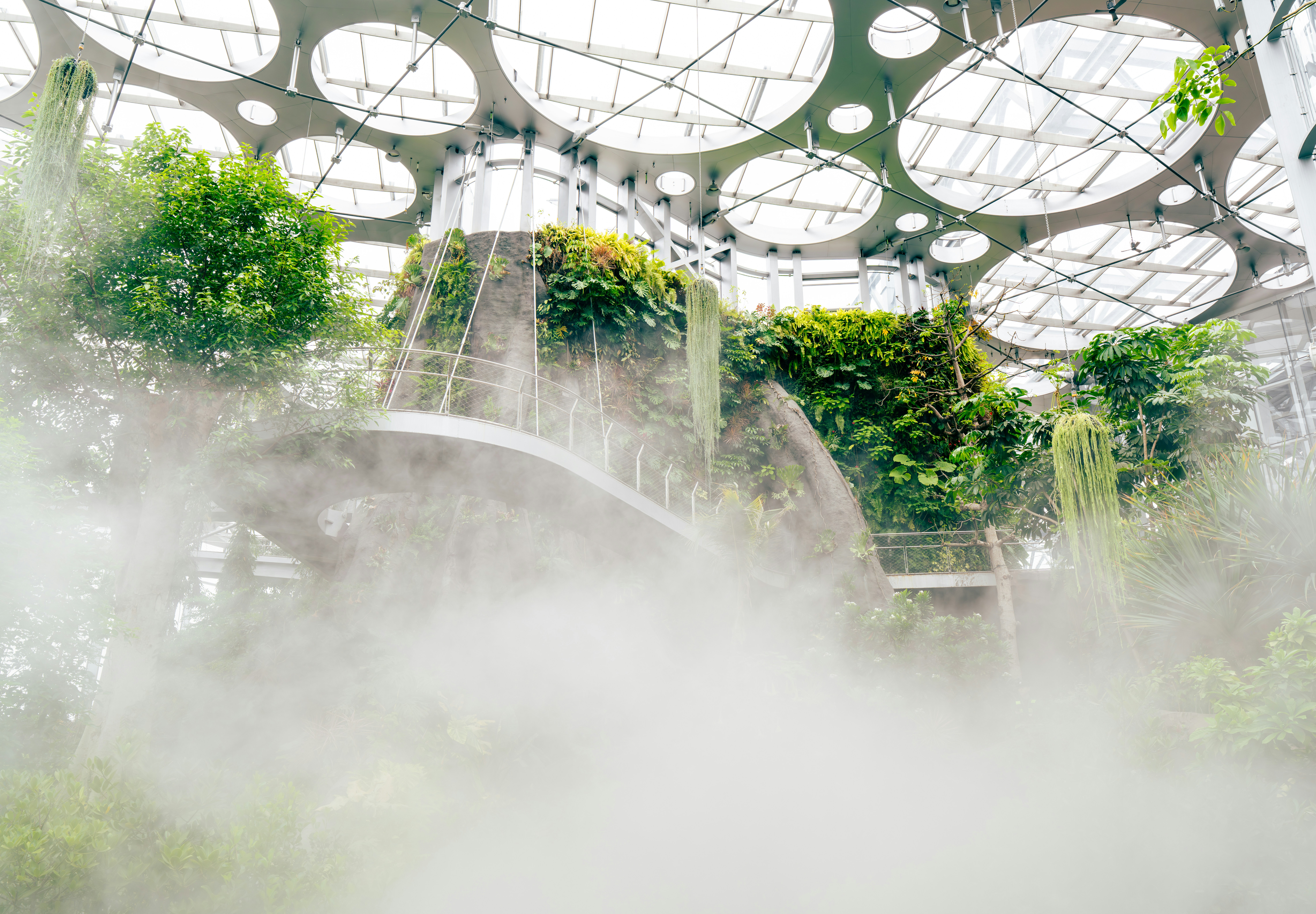 Mist Over the Geometric Conservatory