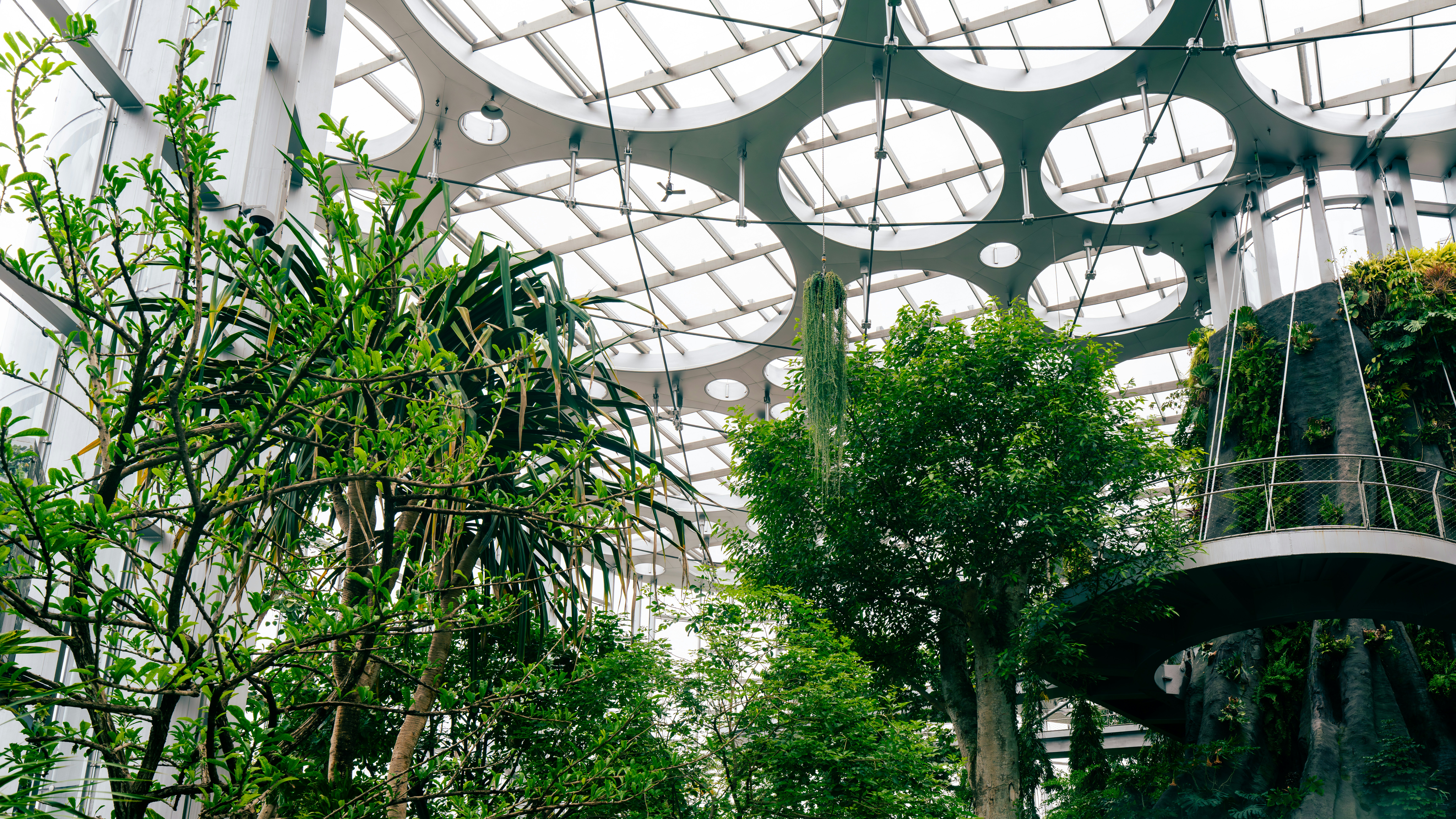 Glass Cathedral of Greenery: A Verdant Atrium Under Honeycomb Arches