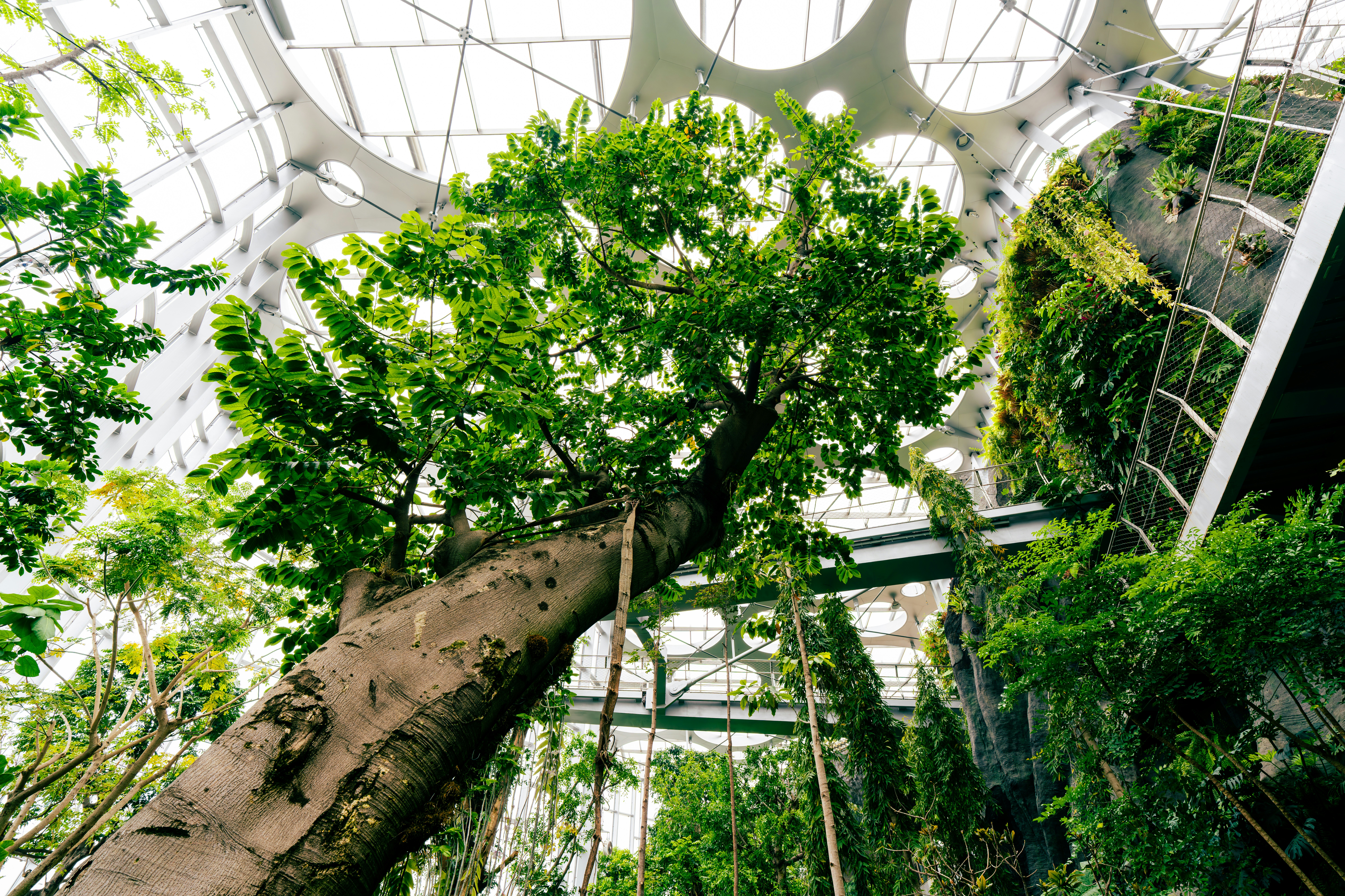 Shanghai Greenhouse Garden