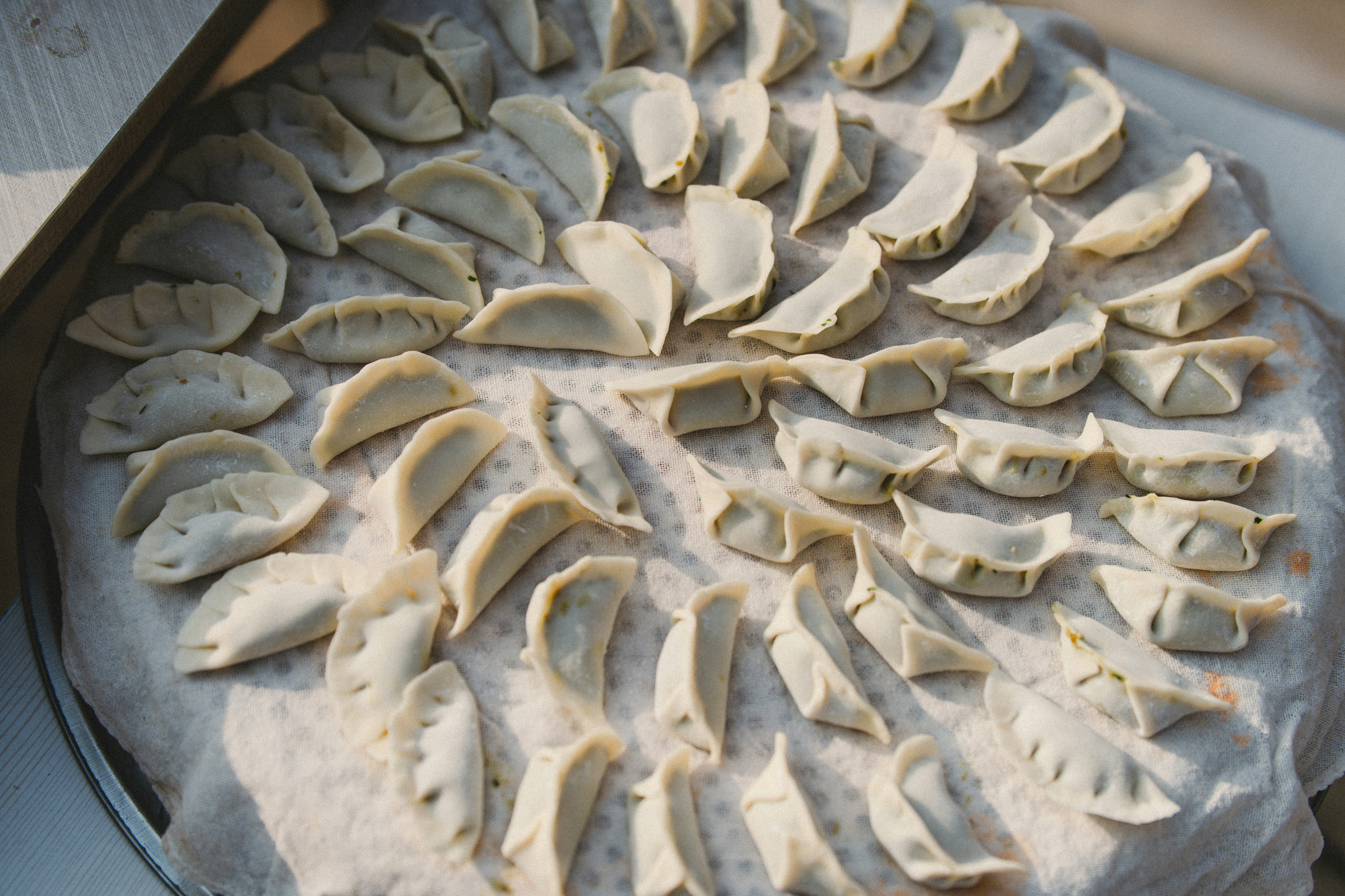 Curved Crescents of Dough: A Tray of Delicate Potstickers Ready to Steam