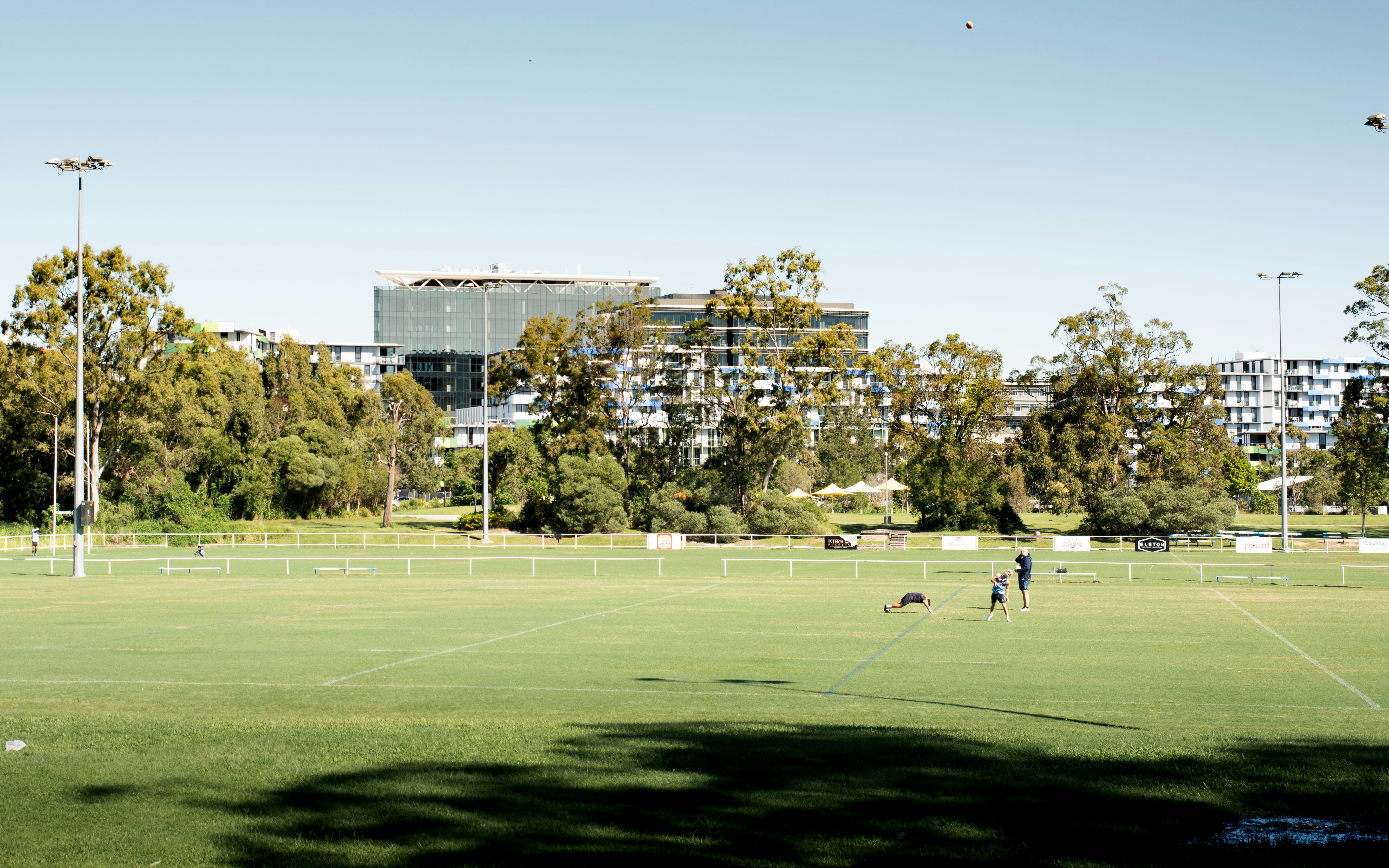 Campus Field at Dusk: A Quiet Training Moment Beneath Tall Trees