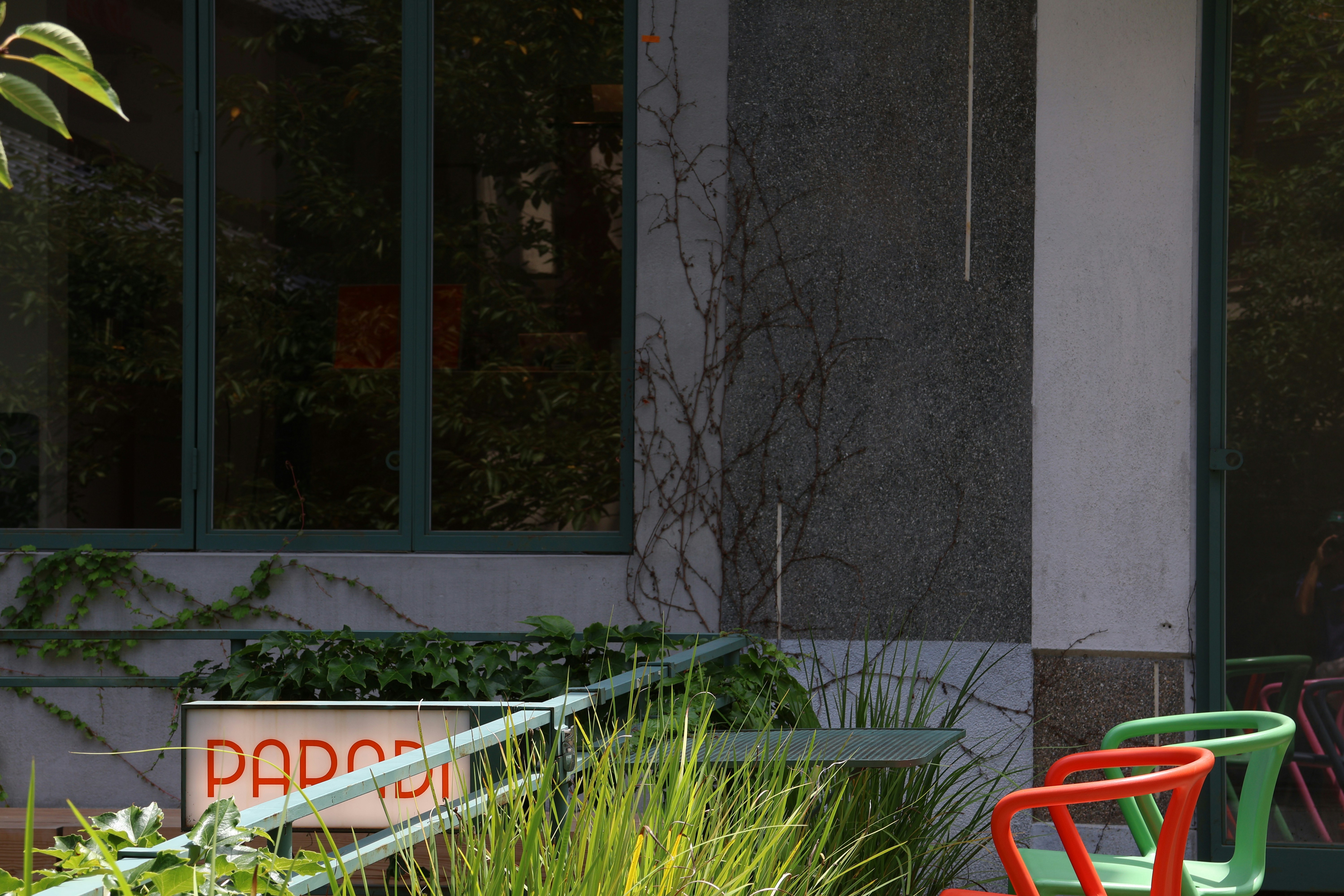 Urban Courtyard Muse: Greenery and Color amid Concrete Edges