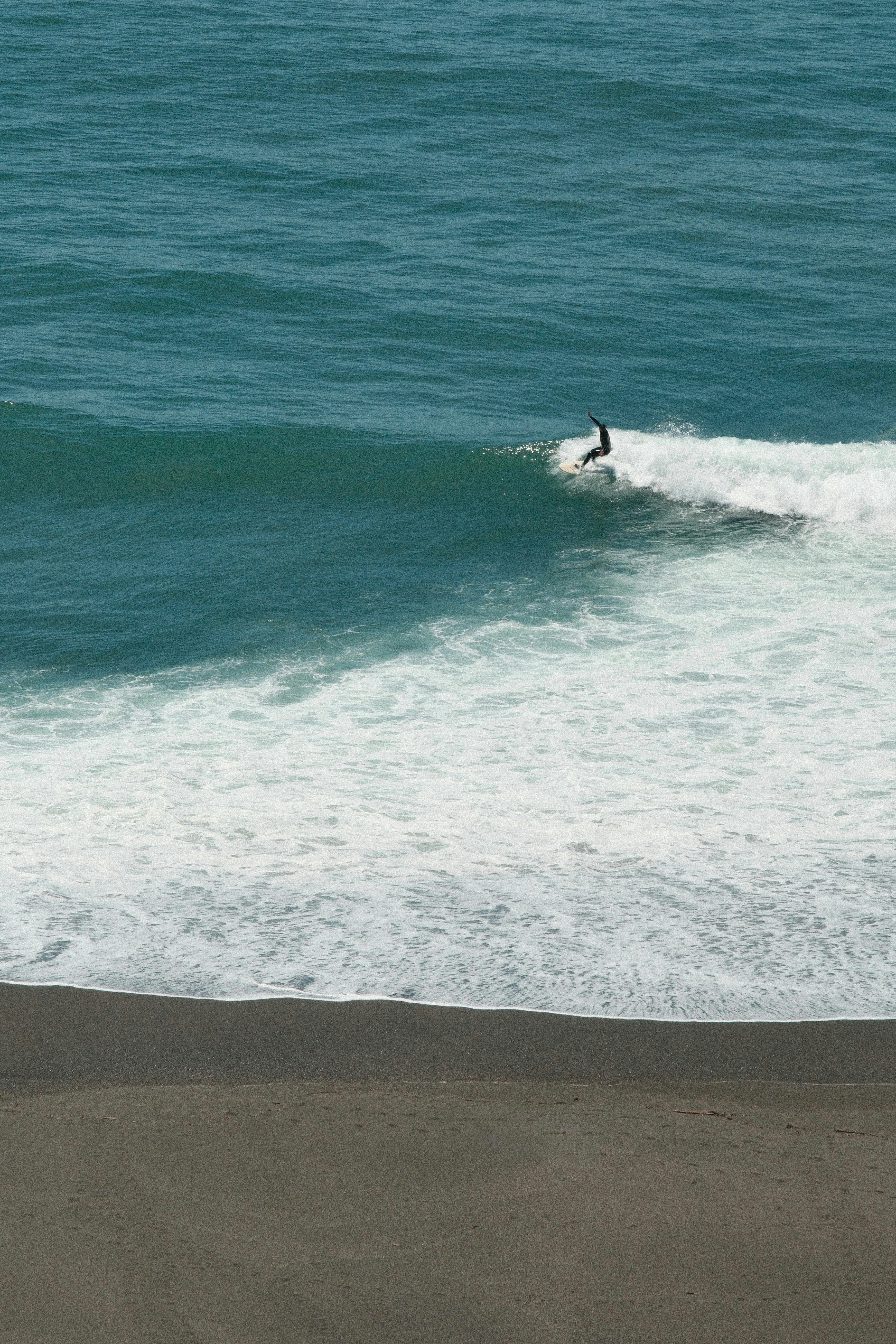 Single surfer carving a green wave along a quiet shoreline