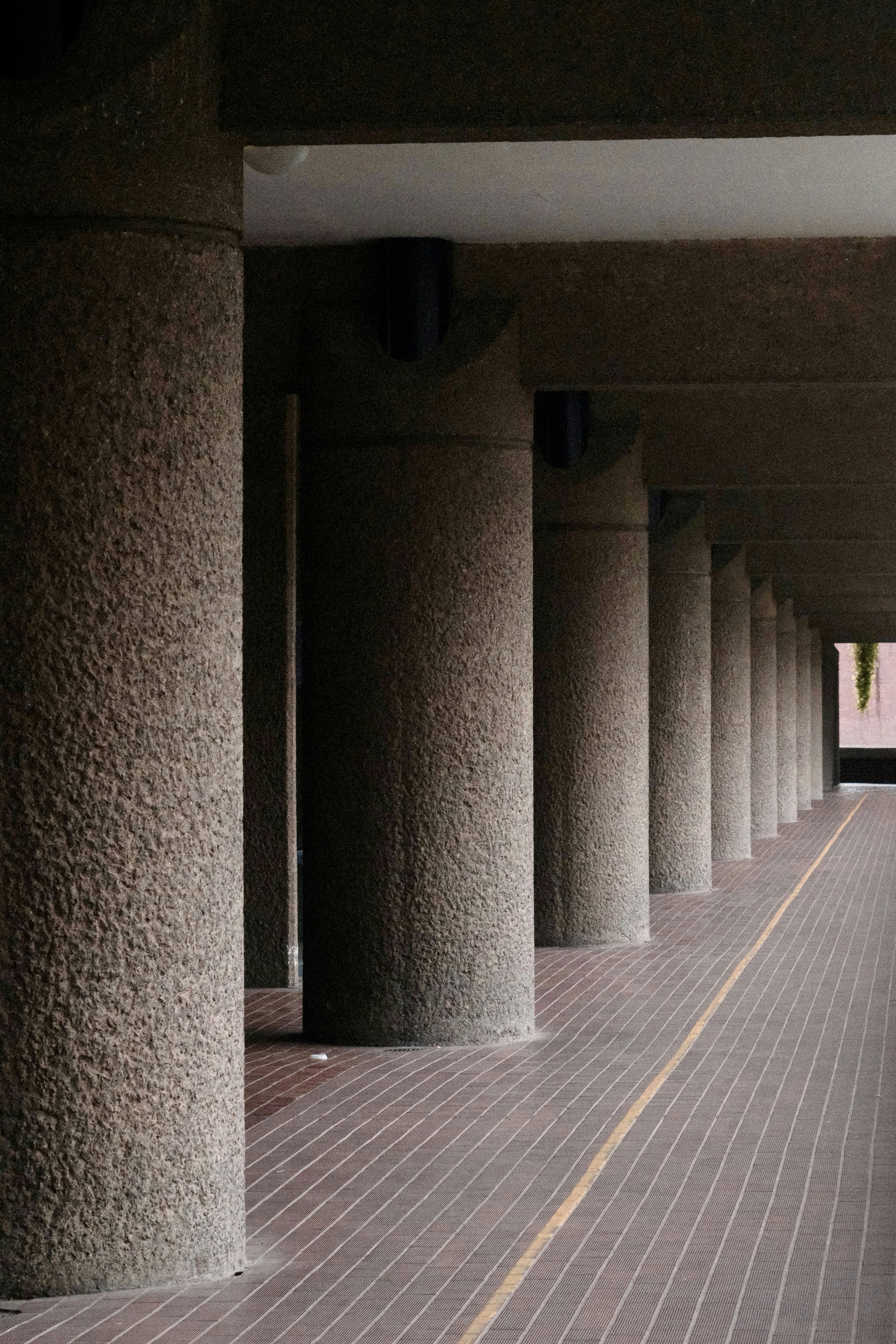 Columns in Perspective: Receding Alley of Concrete Giants