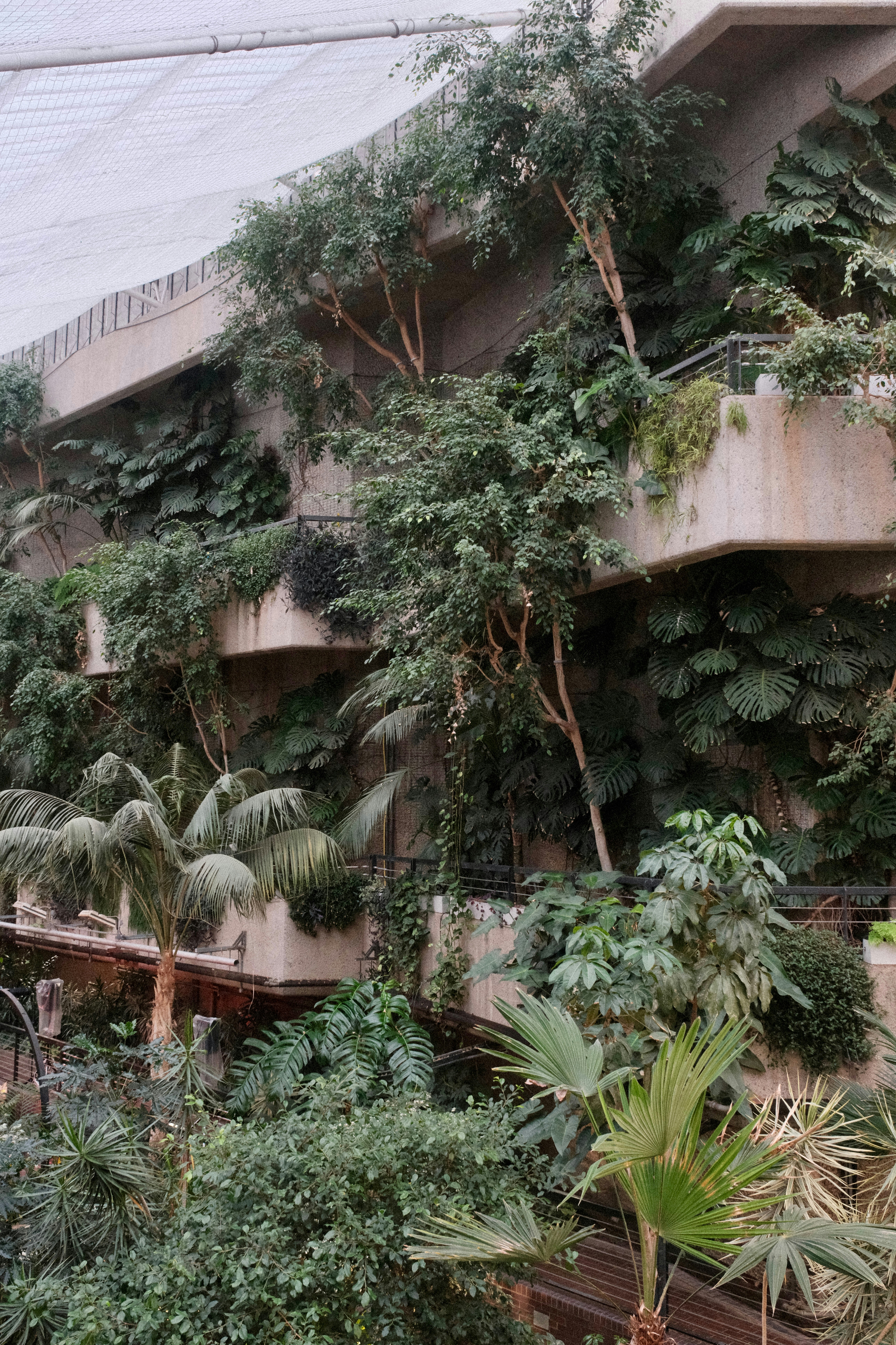 Vertical Garden Atrium: Jungle Cascades Inside Concrete Geometry