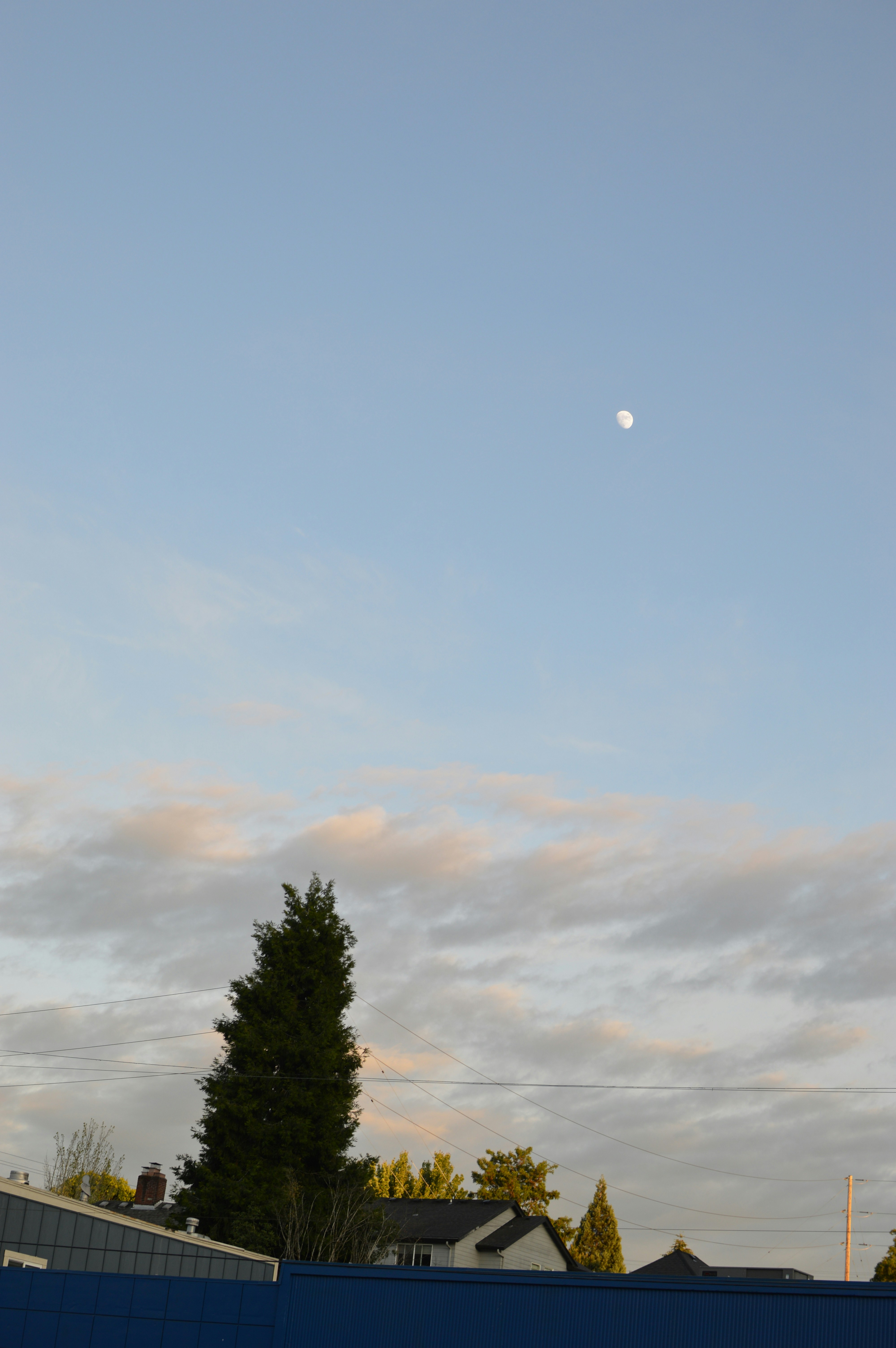 Moonlit Sky Over Suburban Rooftops