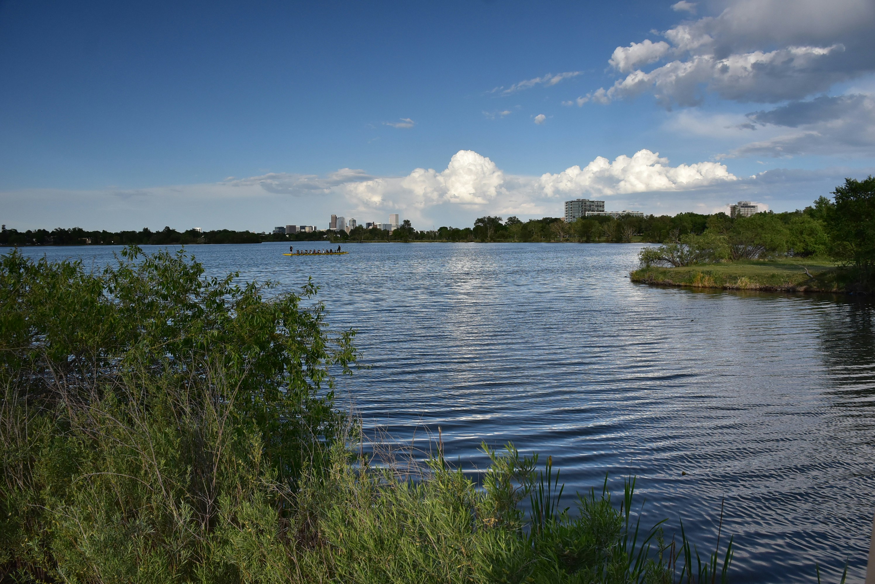 Riverbank Vista: Calm Waters Meet Urban Edge