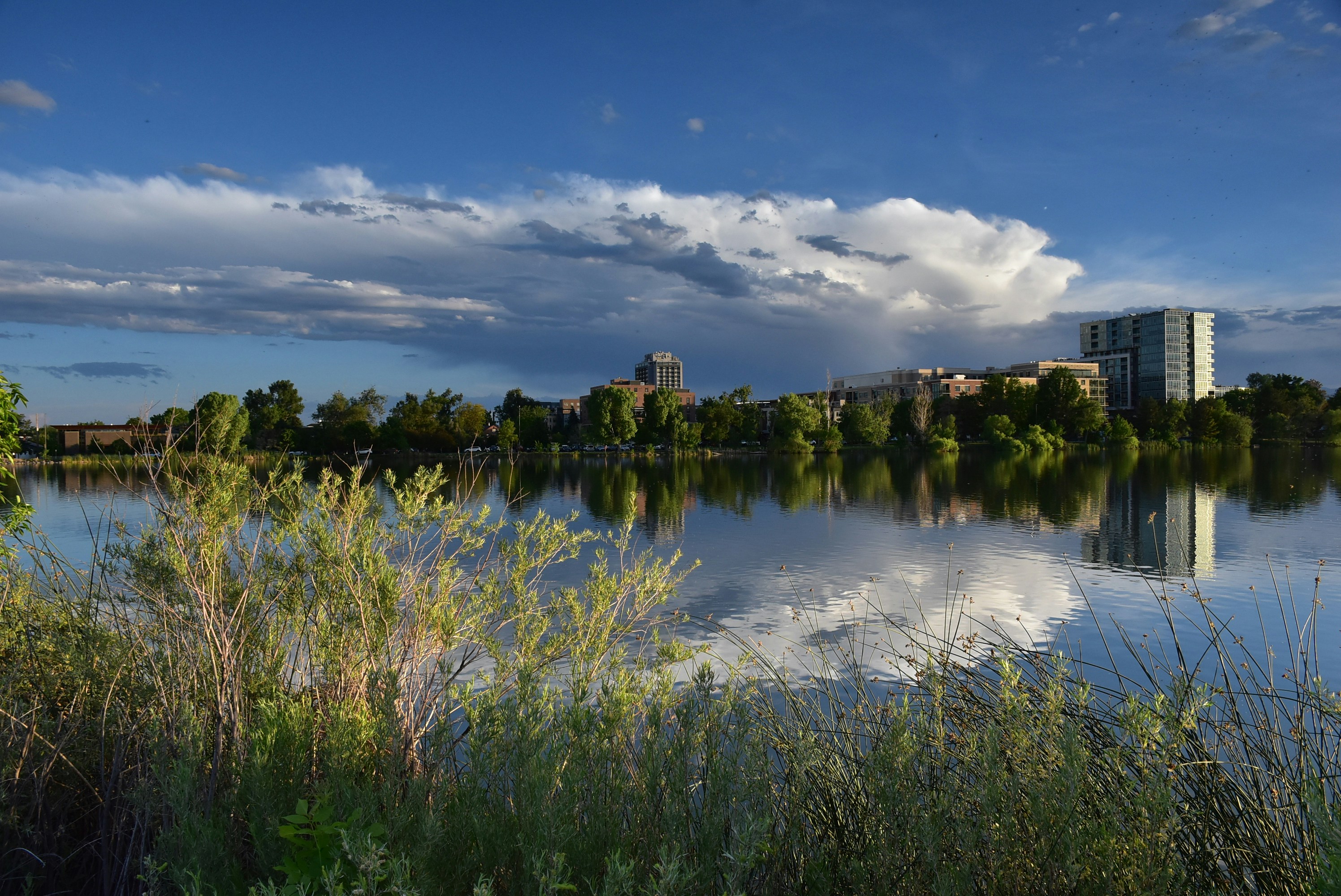 Urban Reflections: A Quiet Riverside Vista by the Lake