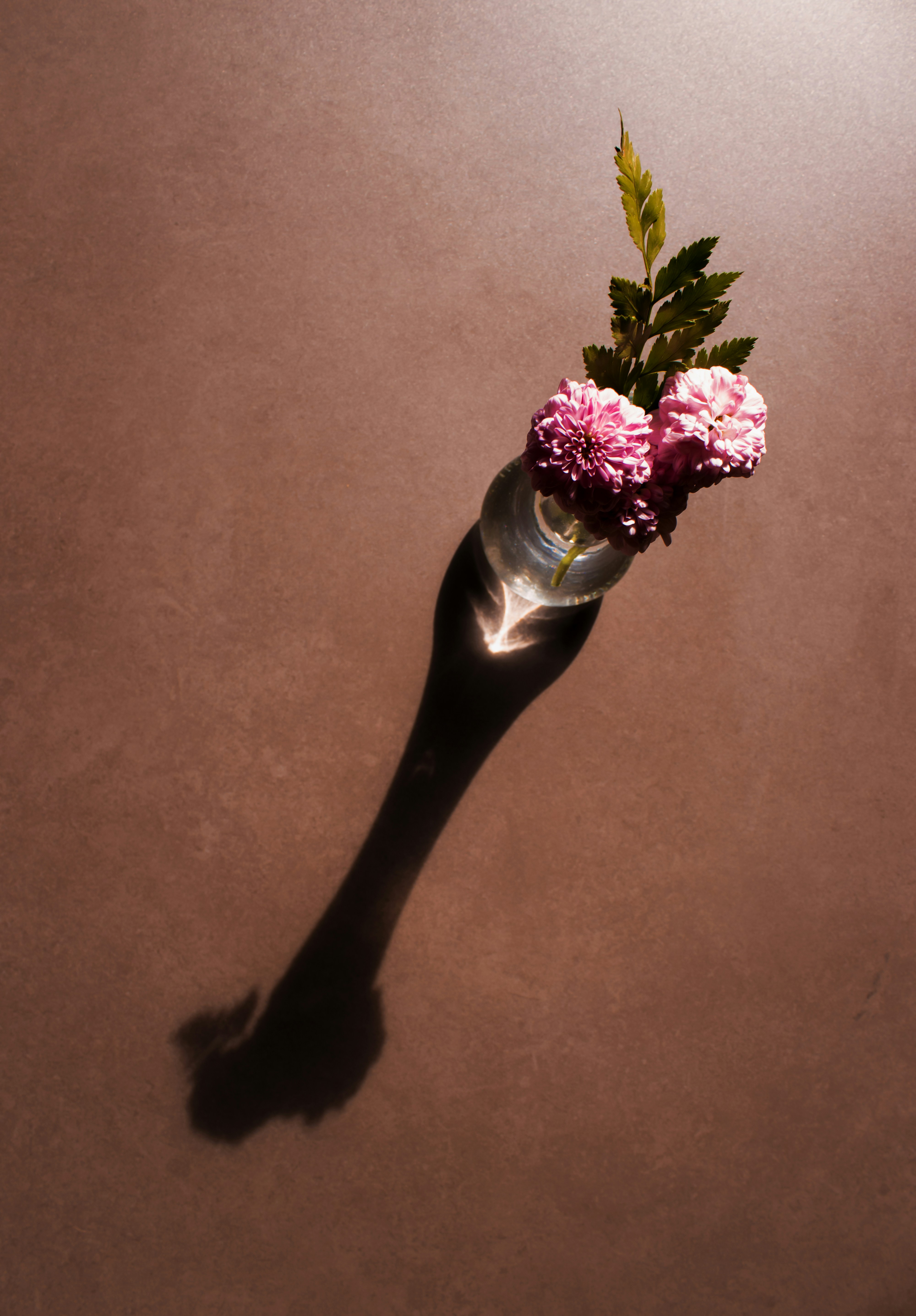 A single pink carnation bouquet resting in a silver vase shadowed by warm light
