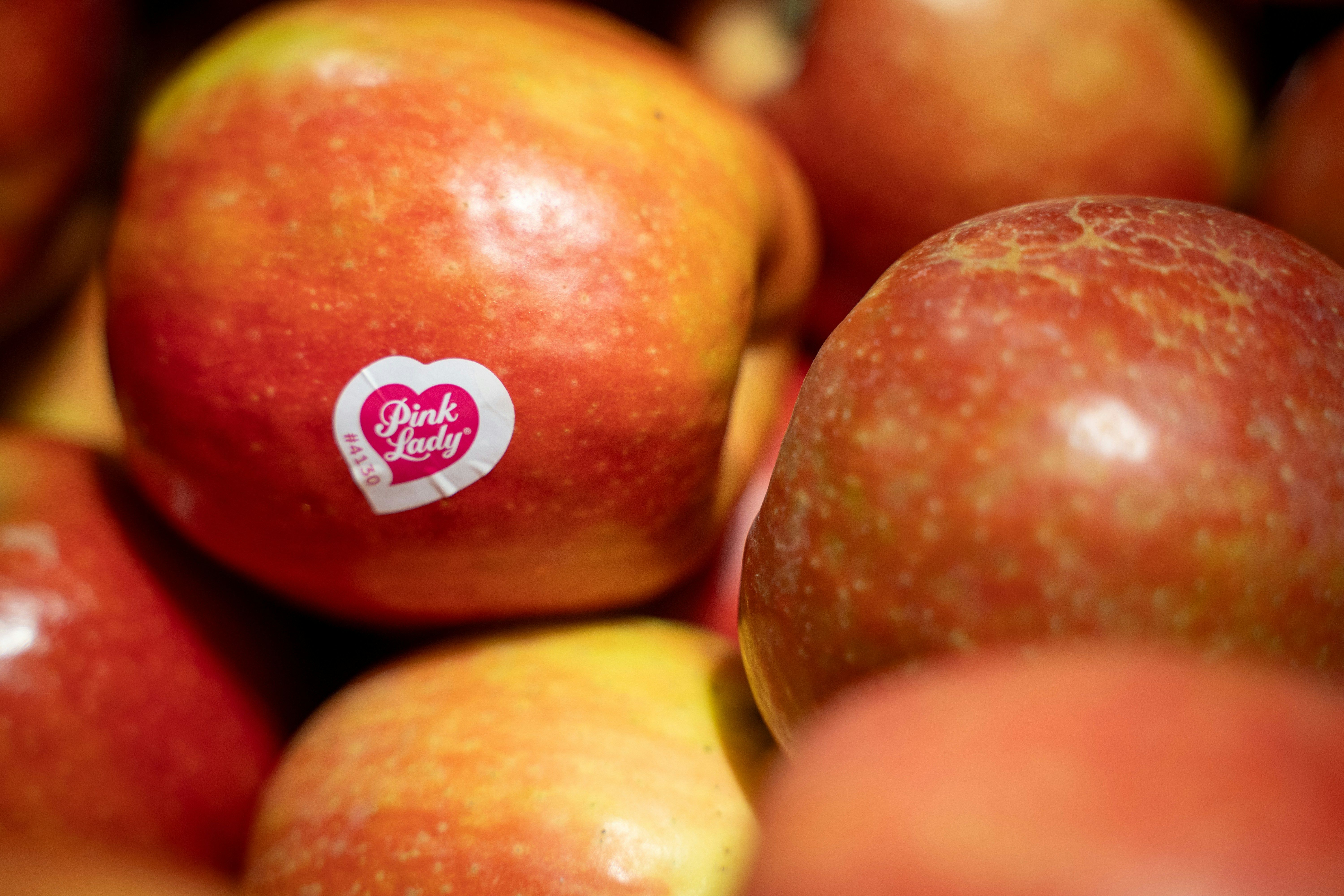 Stickered Apple Among the Orchard Speak