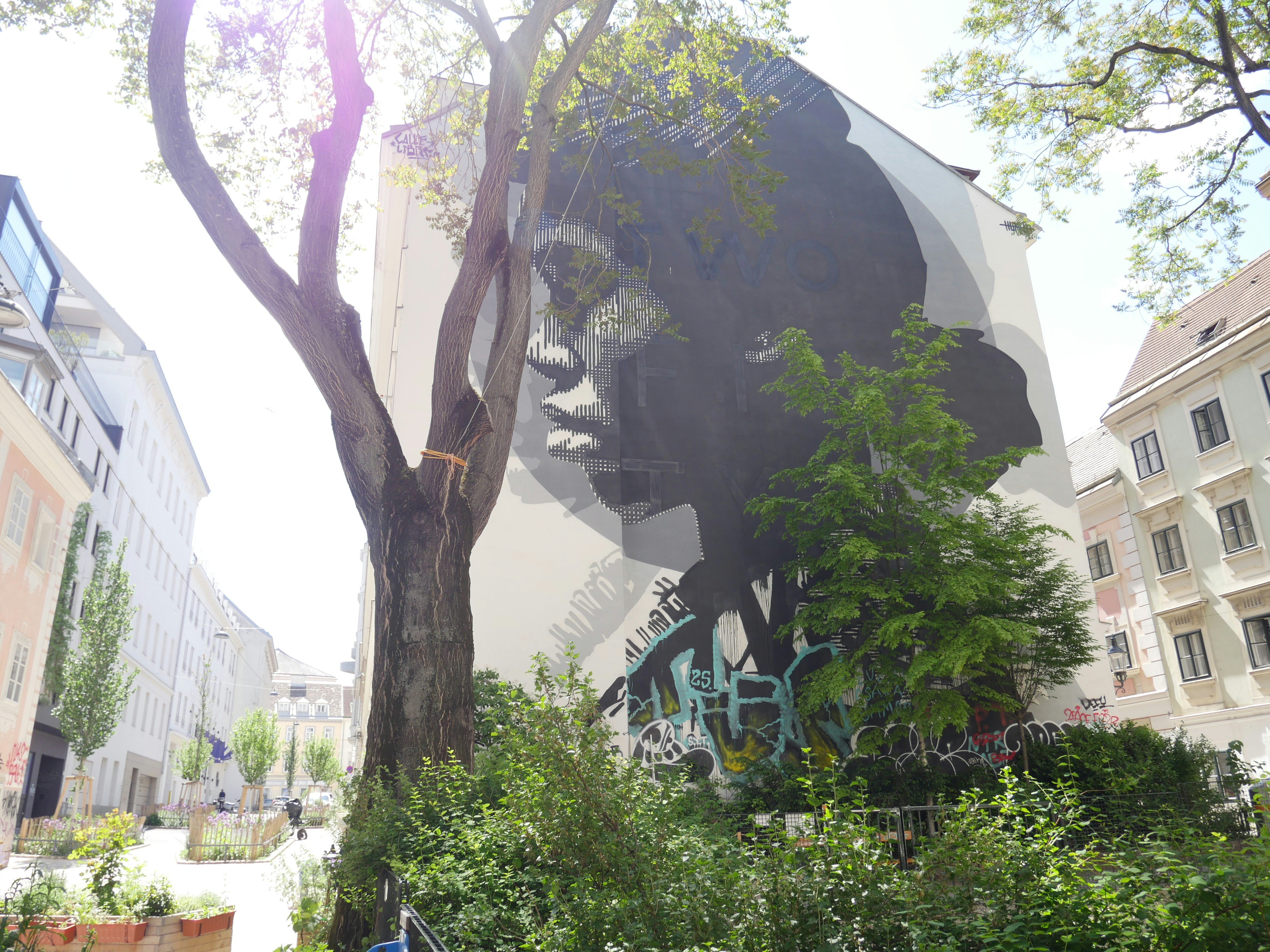 Urban Portrait on Brick Wall: A Large Monochrome Face Emerges from Street Graffiti