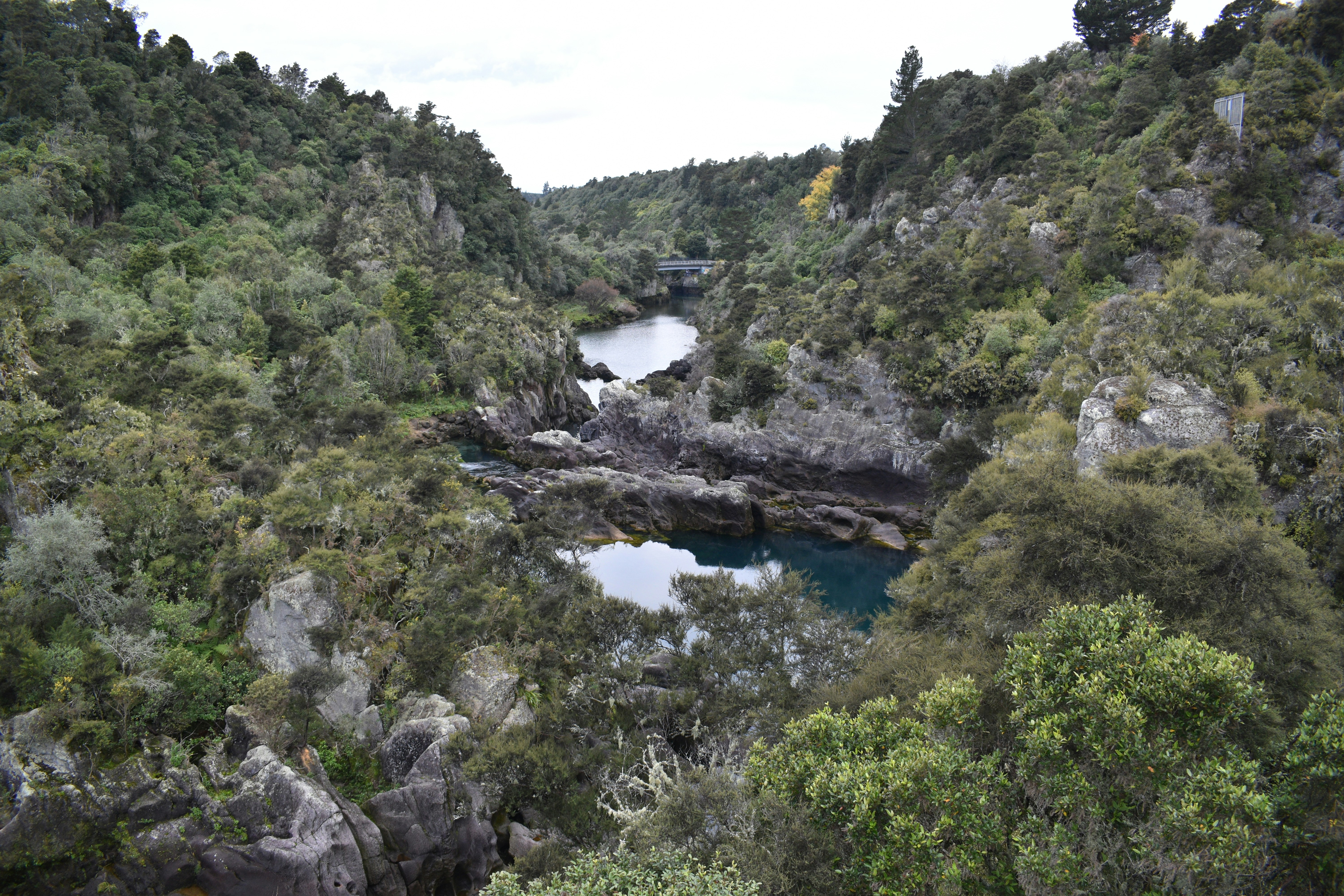 Rugged River Gorge Framed by Cliffs and Foliage