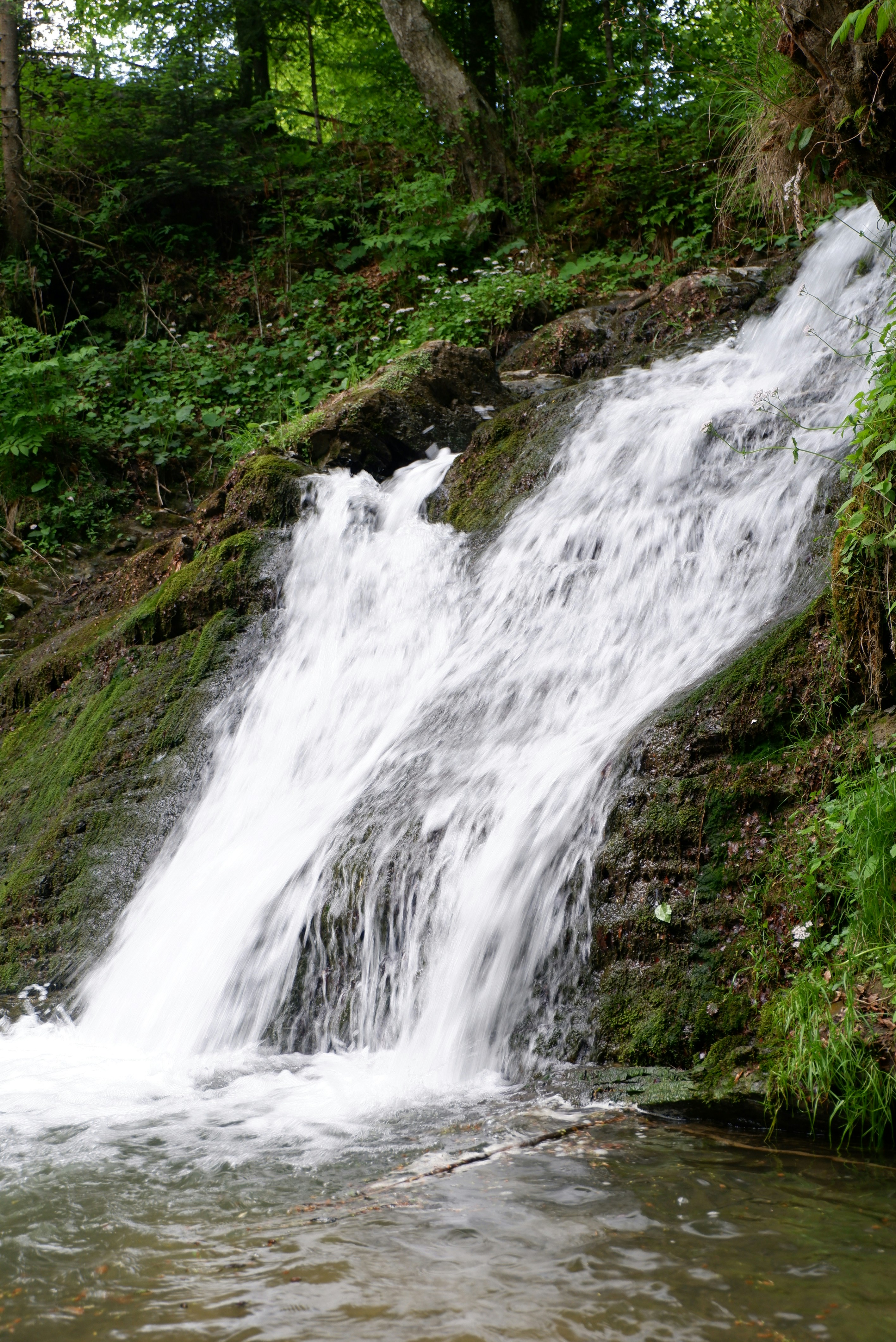 Moonlit Cascade: A Forest Waterfall in Quiet Motion