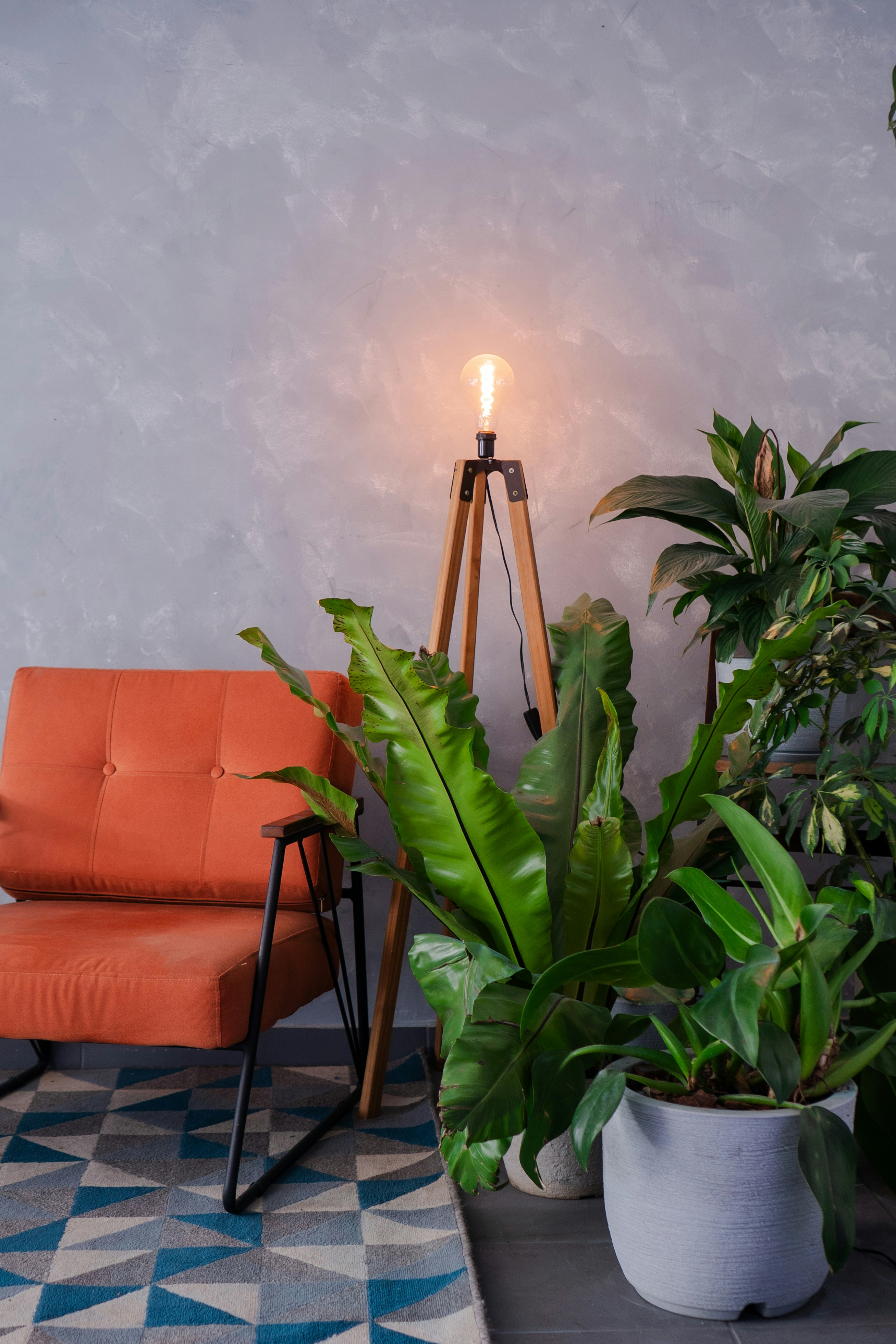 Warm Corner: A Leafy Nook with a Glowing Tripod Lamp
