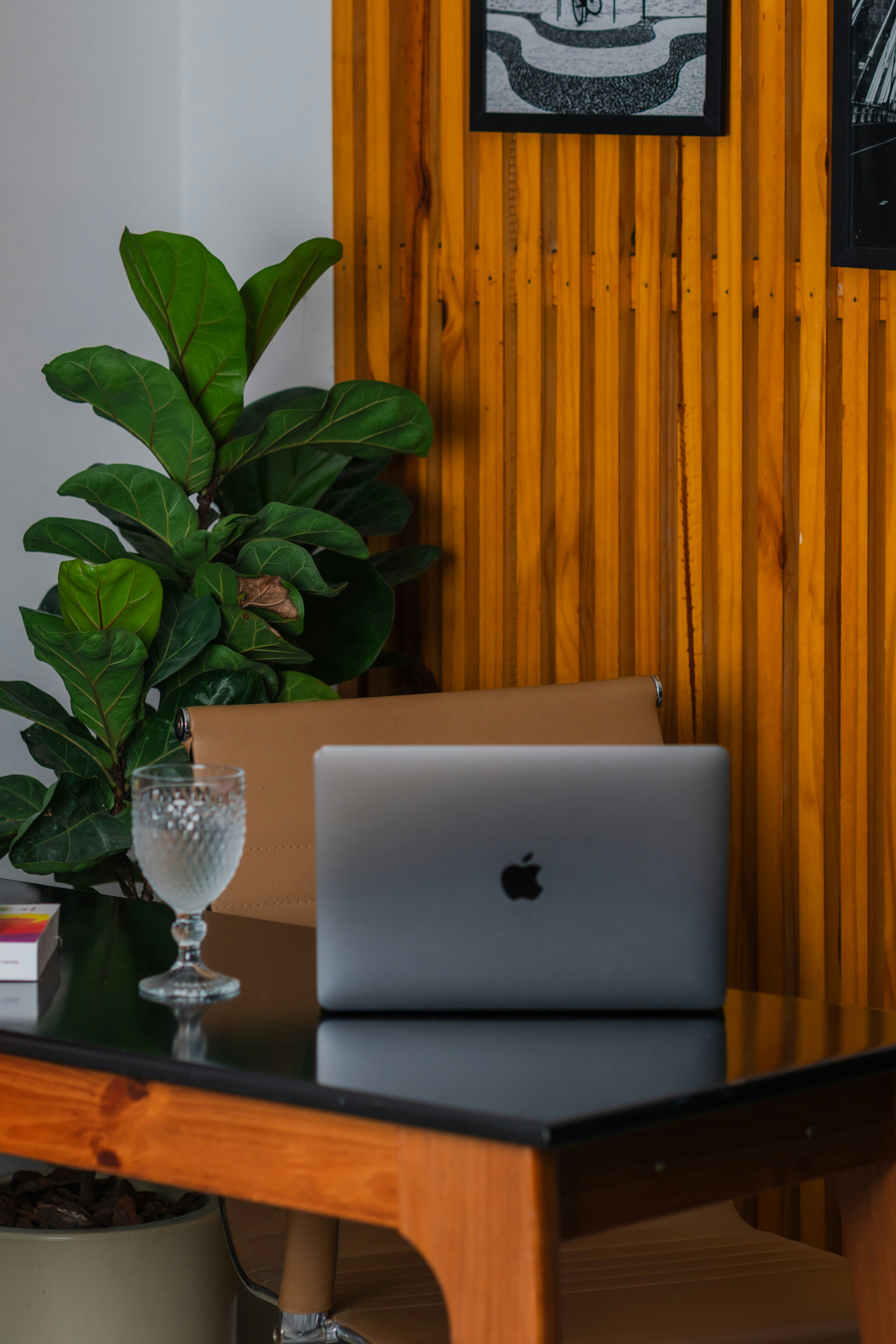 MacBook Horizon: A Quiet Workspace by Warm Wood and Greenery