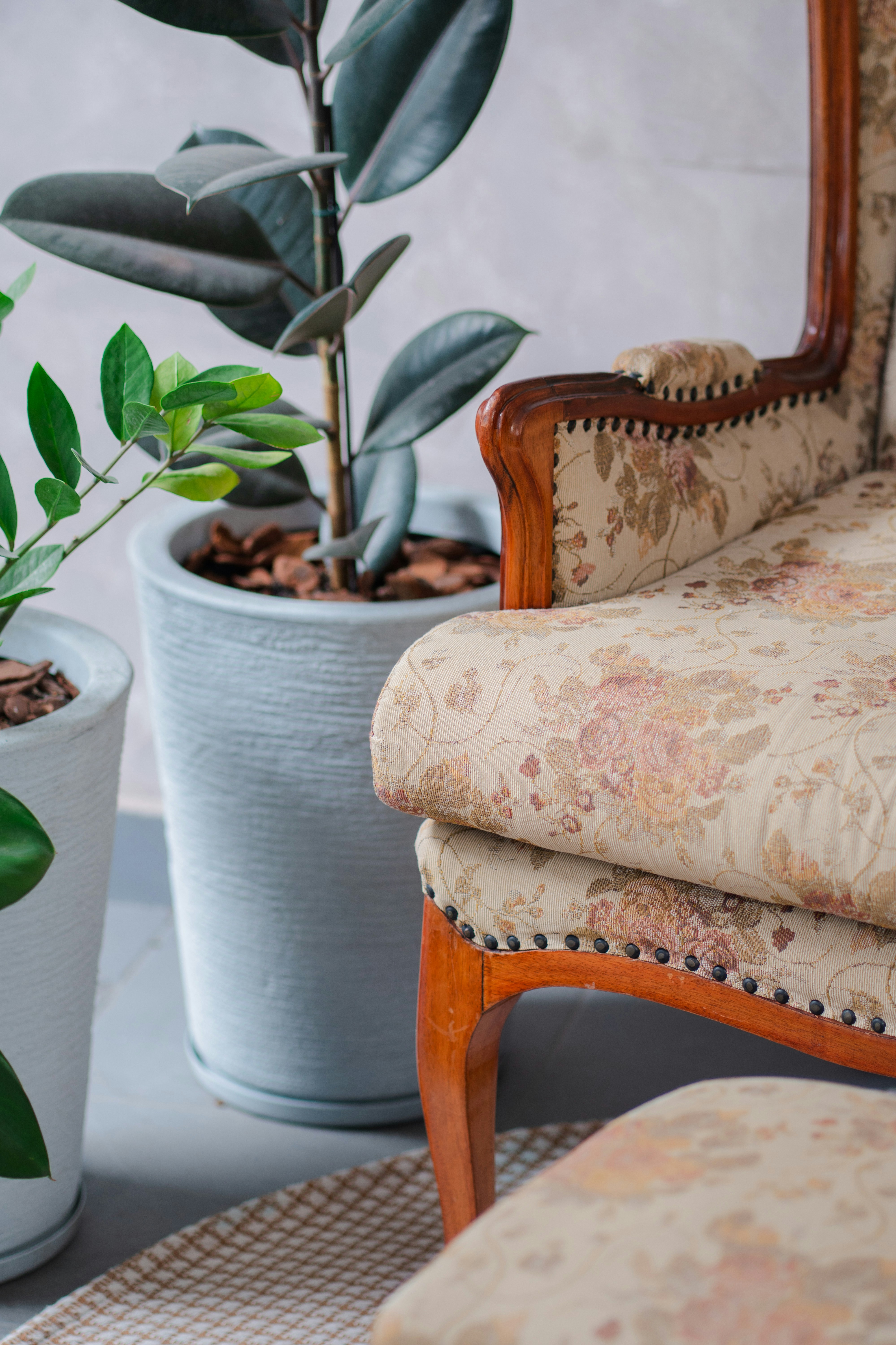 Floral Upholstery and Greenery: A Quiet Corner with Vintage Chair
