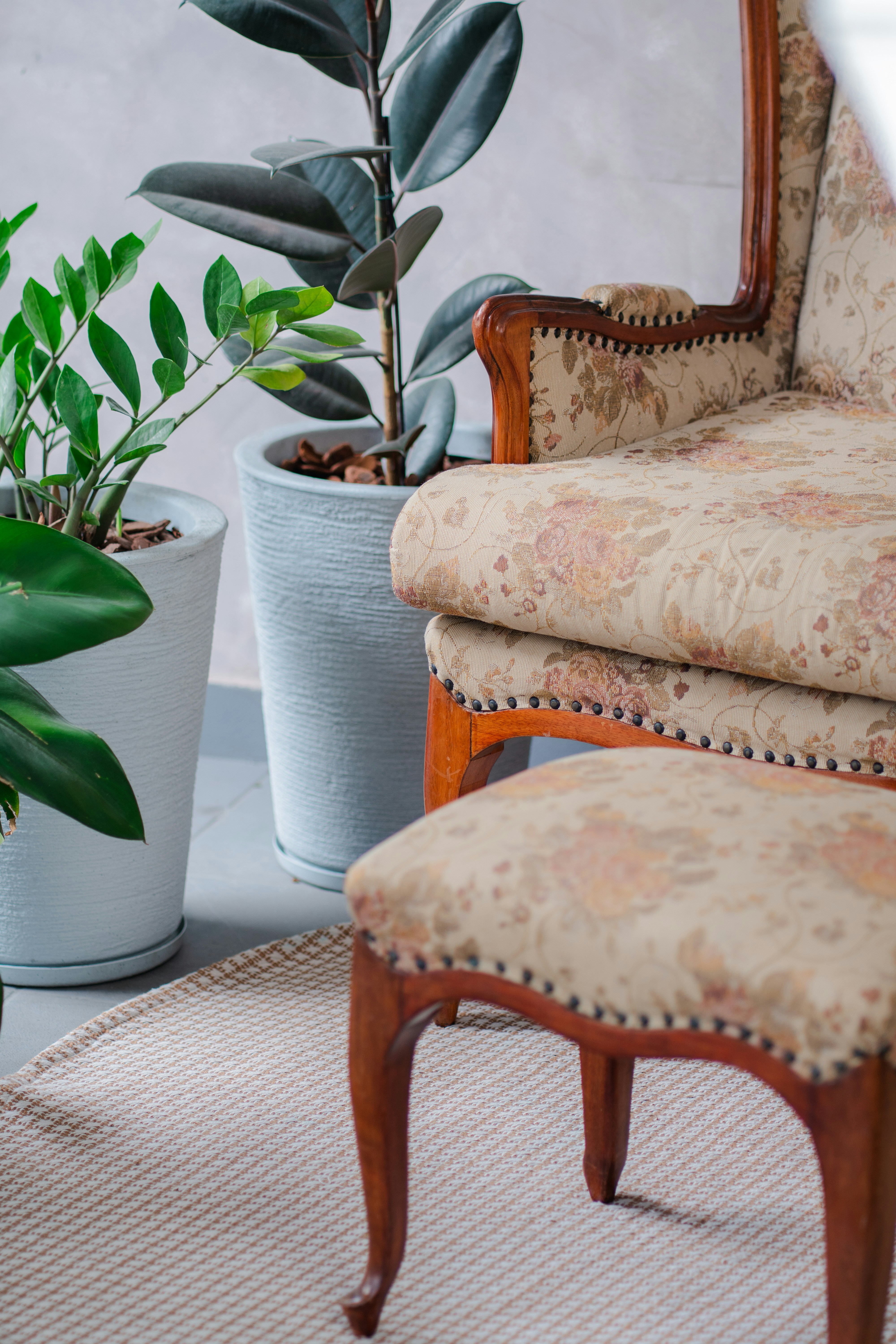 Sunlit Vintage Salon: A Quiet Corner of Plant Life and Upholstery