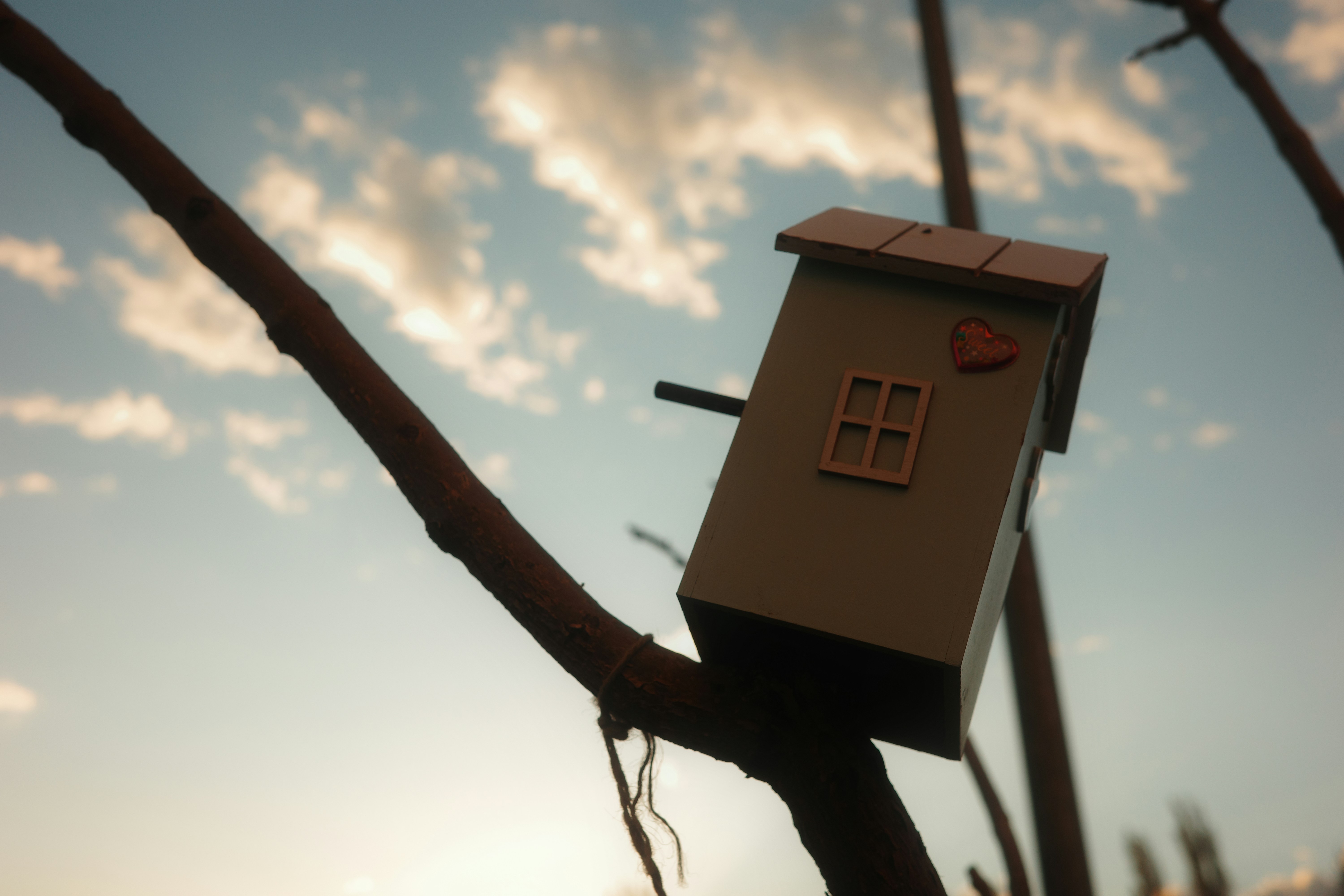 Tiny House on a Branch: Aerial Dollhouse in Twilight