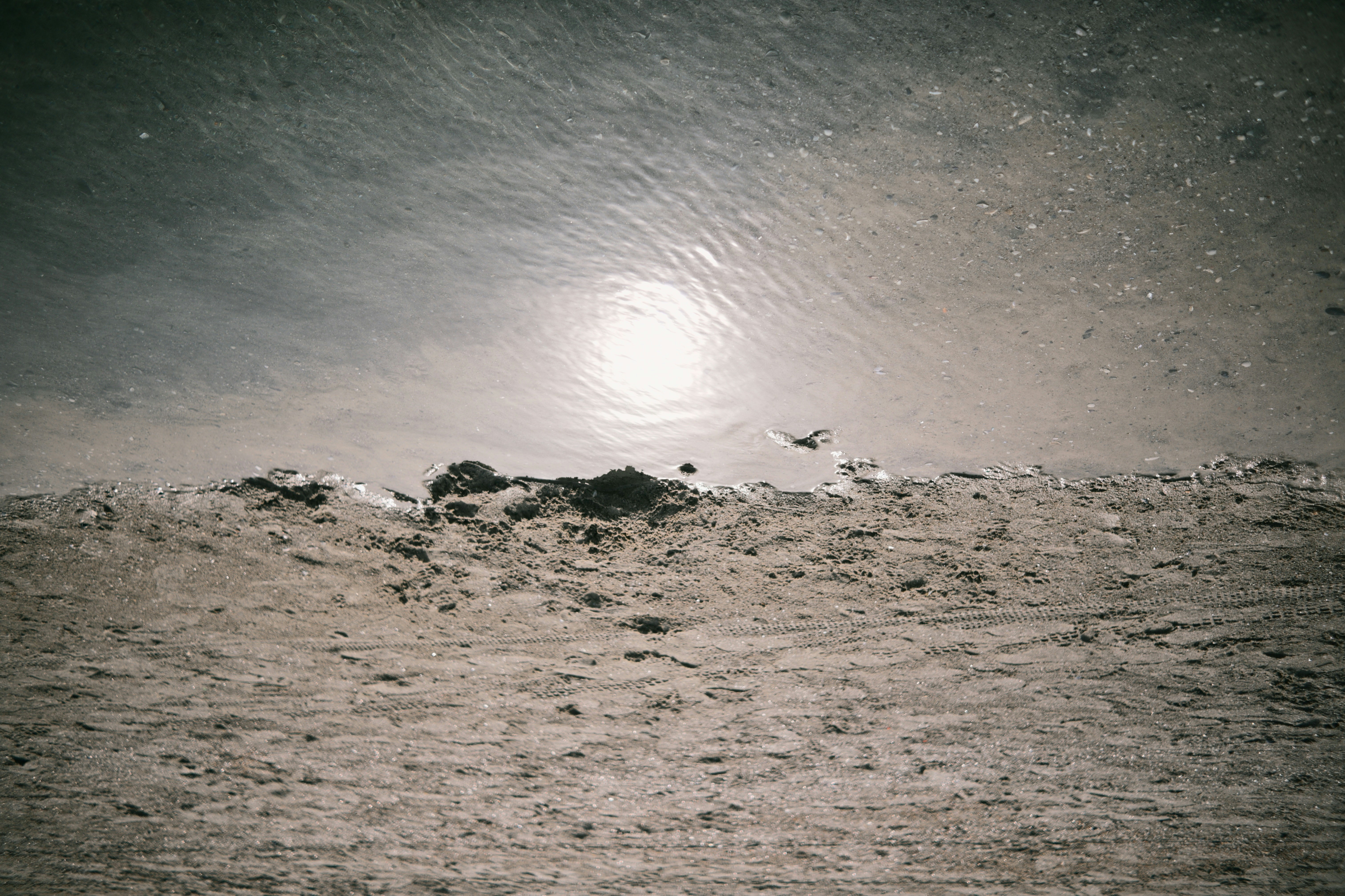 Moonlit Tide: A Shallow Sea of Silence