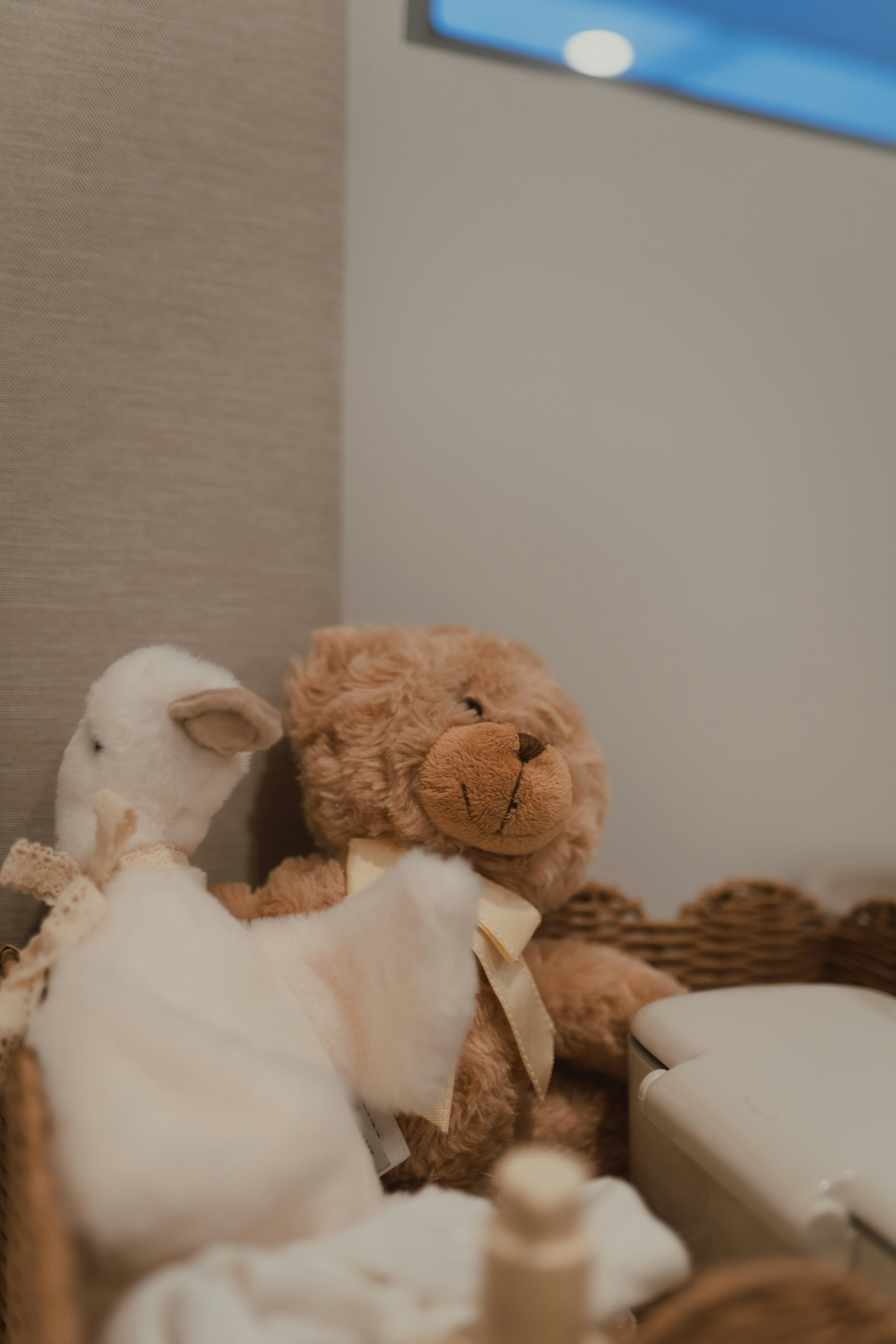 Tender Moment: Plush Toys Rest in Soft Evening Light