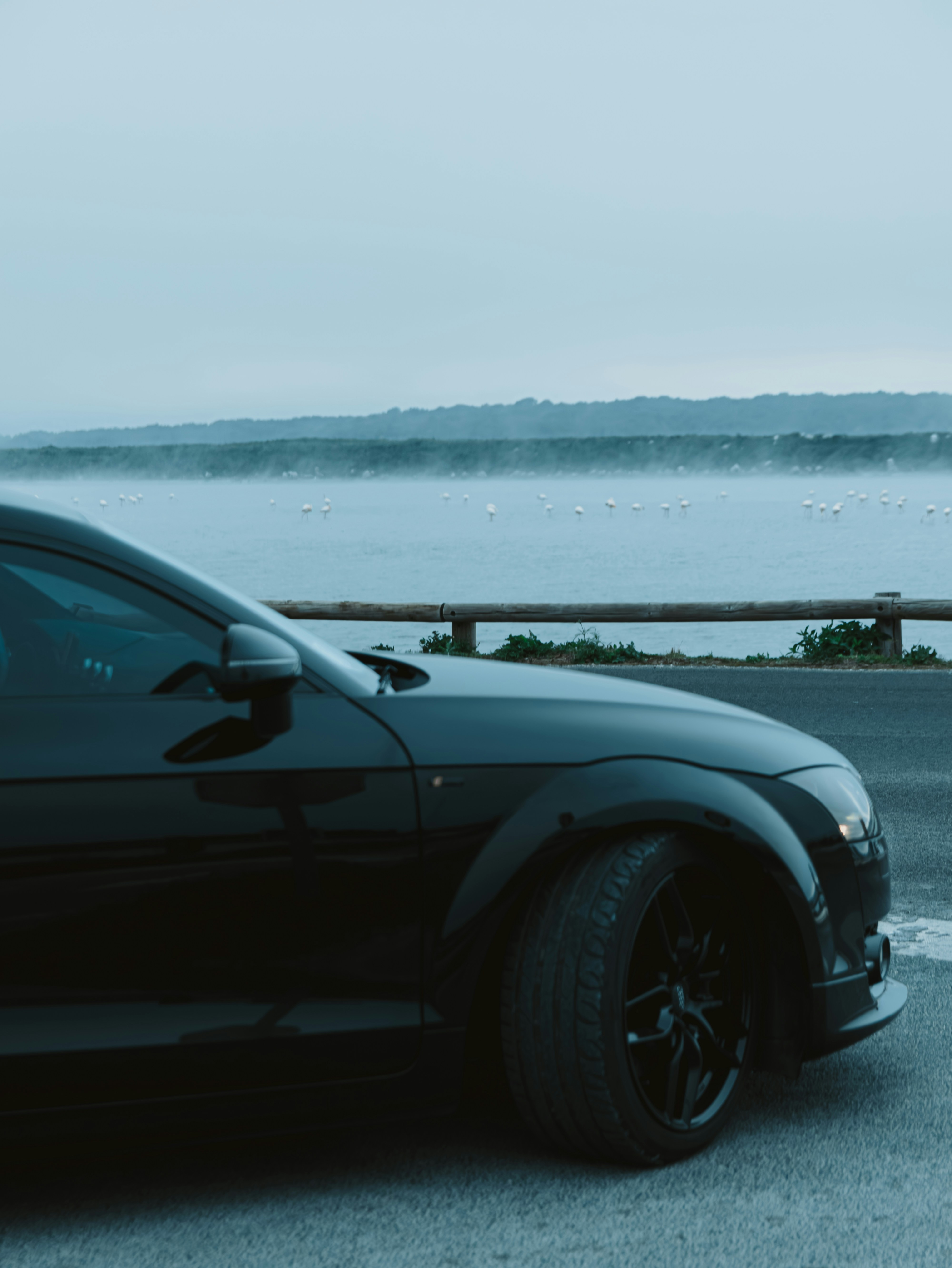 Low-profile Speedline by the Shore
