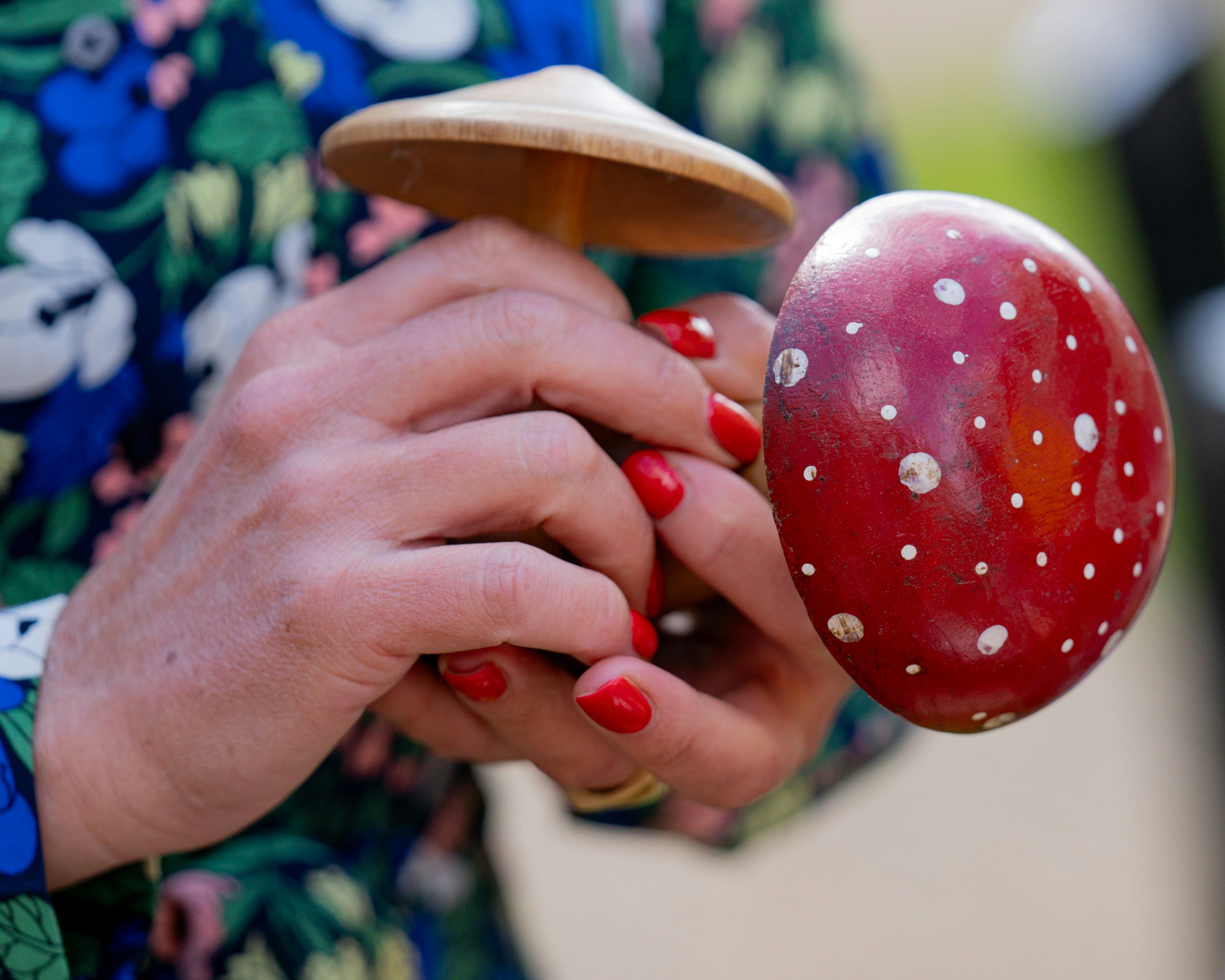Red mushroom gleam: grip and polish in a vibrant moment