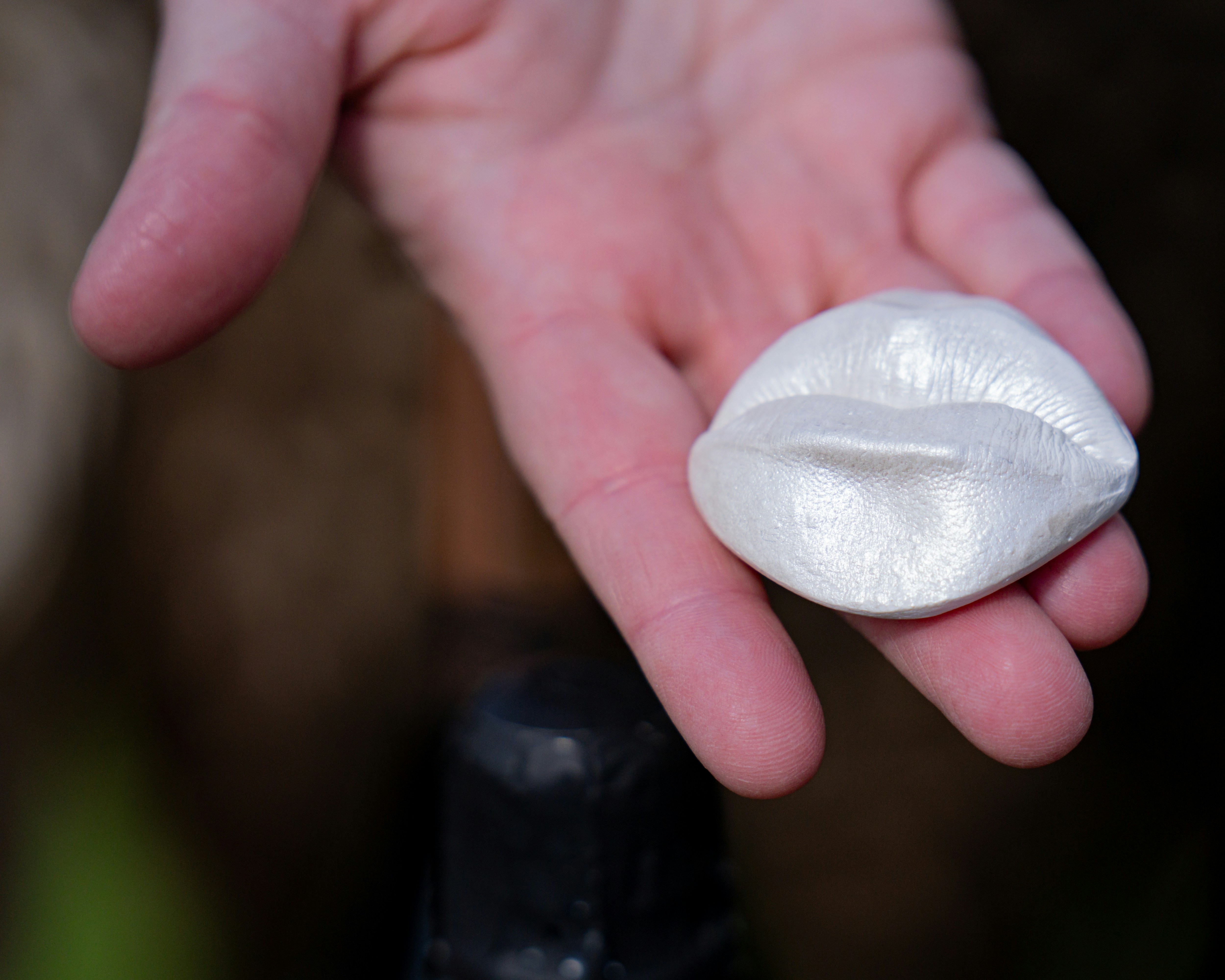 Whispering Shell: A Pebble–like Pearl Resting on a Palm