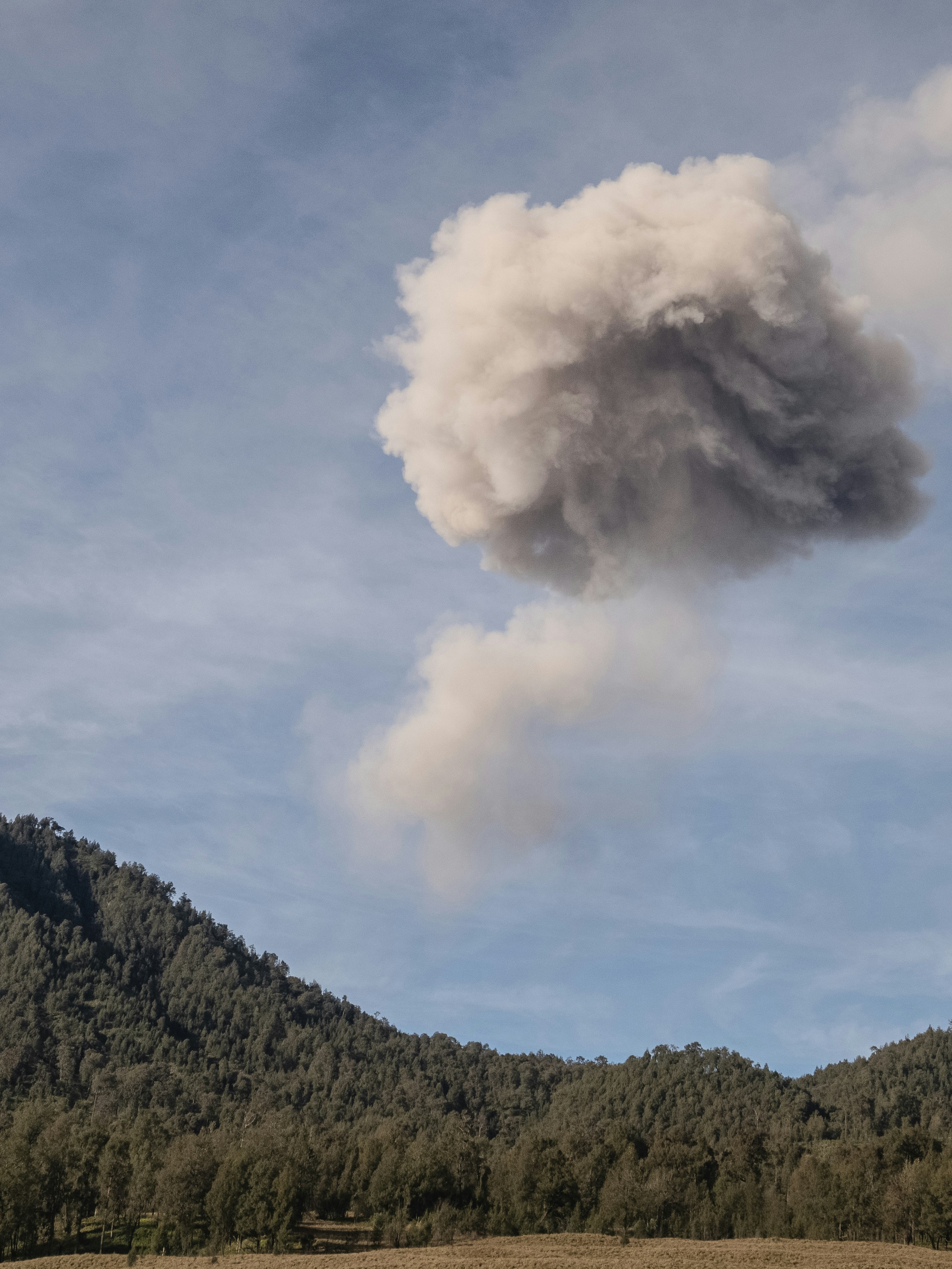 Misty Summit: A Puff of Silence Over the Pines