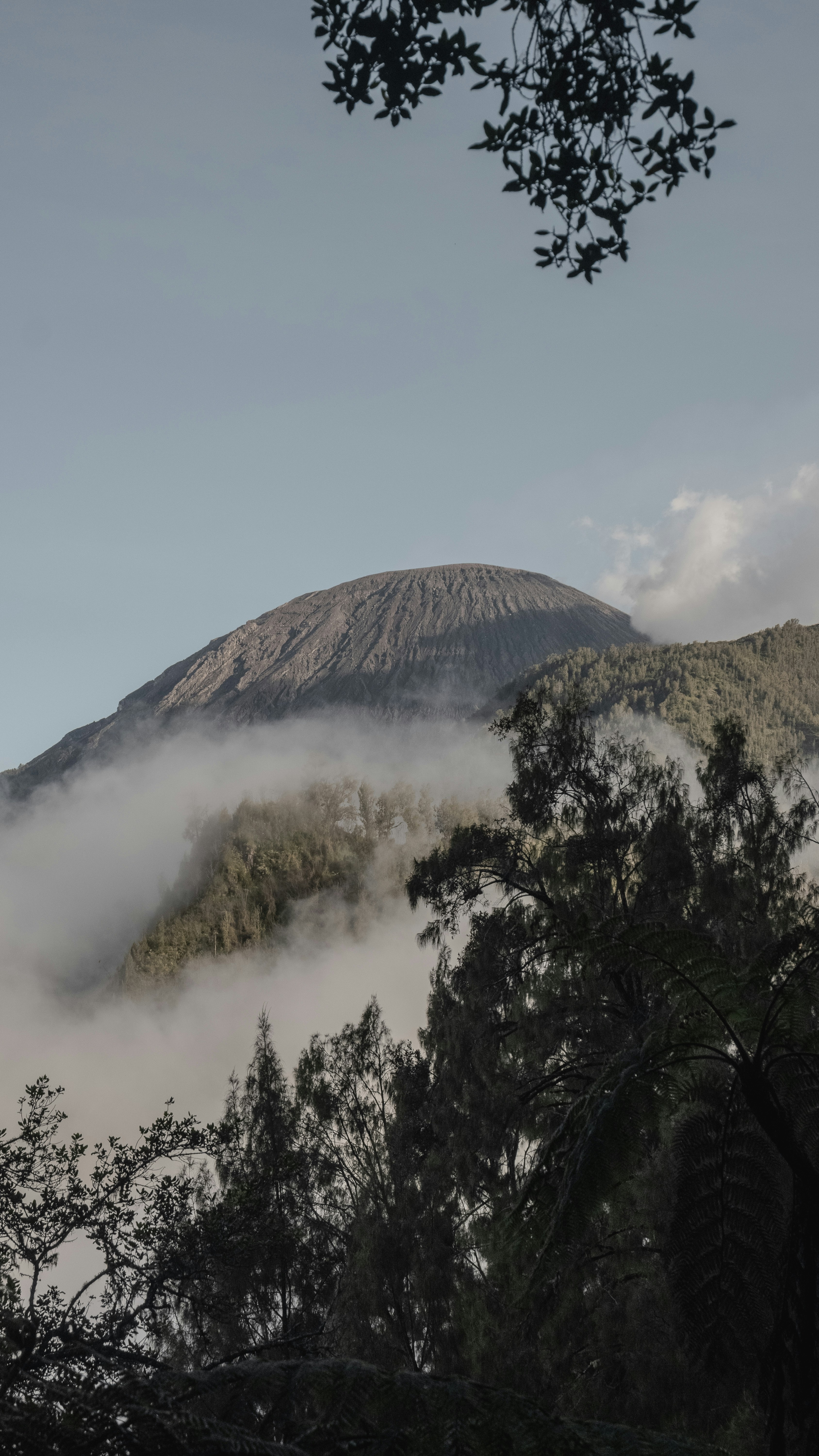 Mist-Crowned Summit: A Quiet Mountain Emerges Through Fog