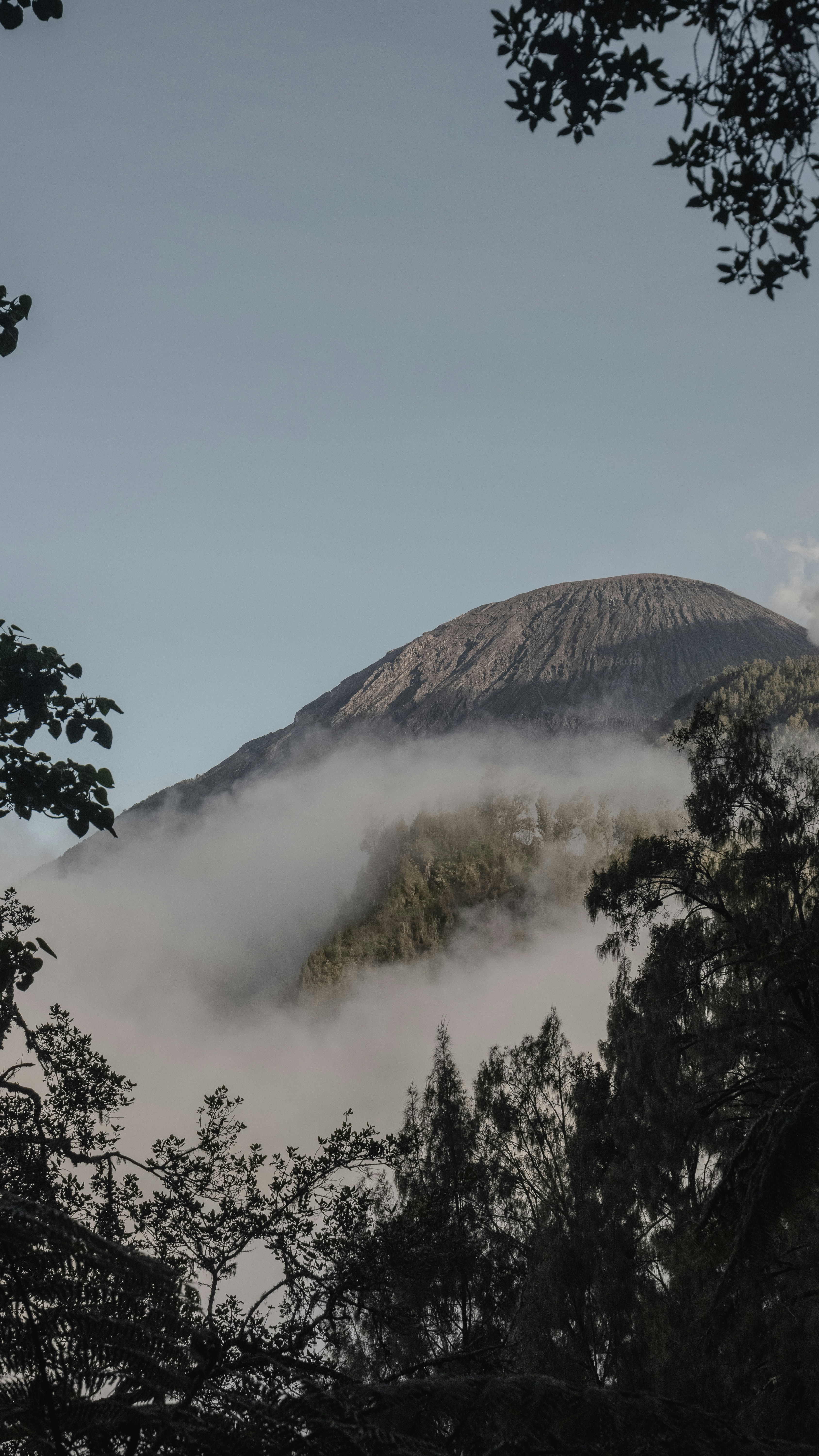 Mist-Laced Summit: A Quiet Peak Emerges Above the Clouds