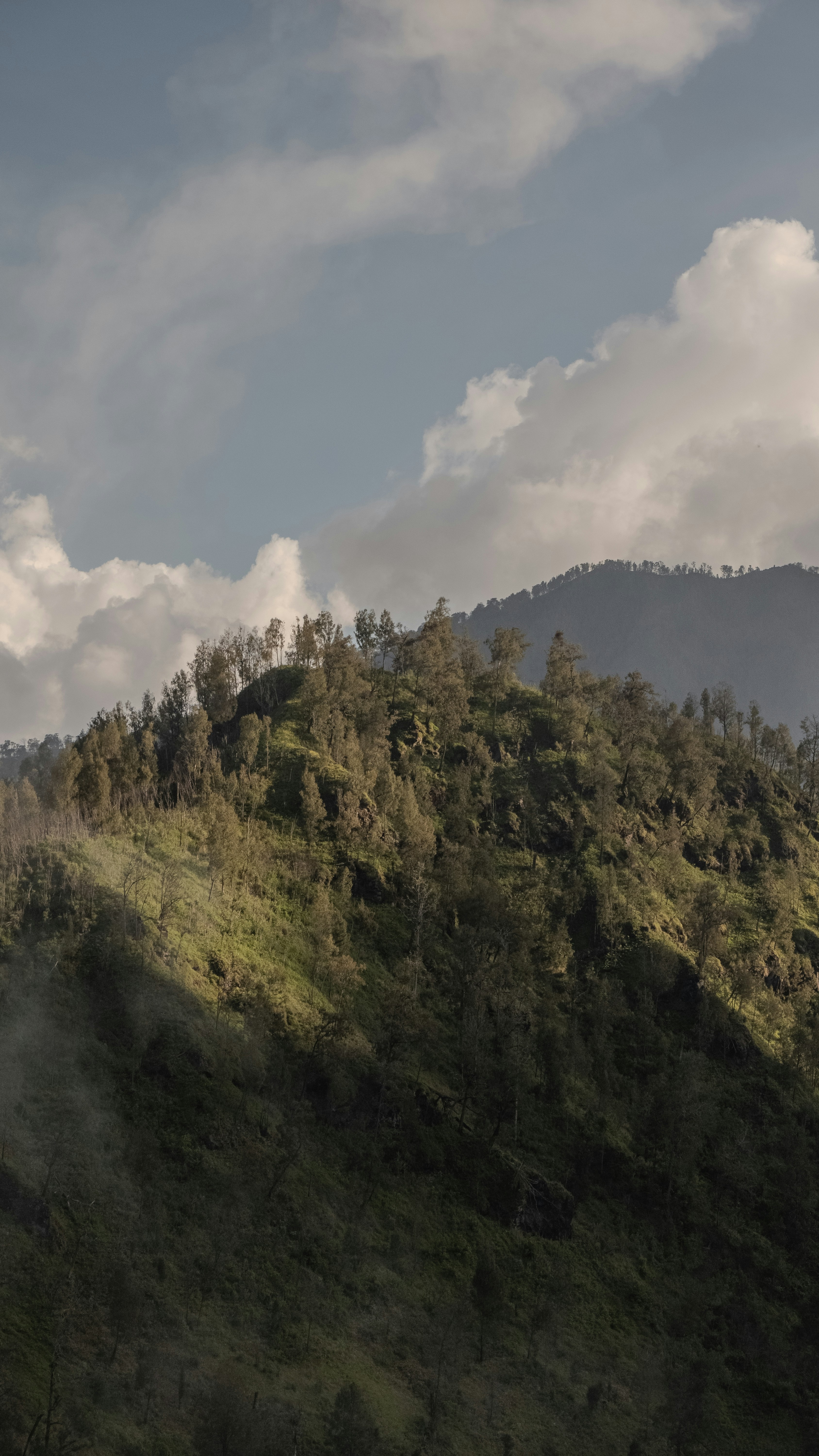 Sunlit Crest: A Quiet Hillside Carved by Evening Light