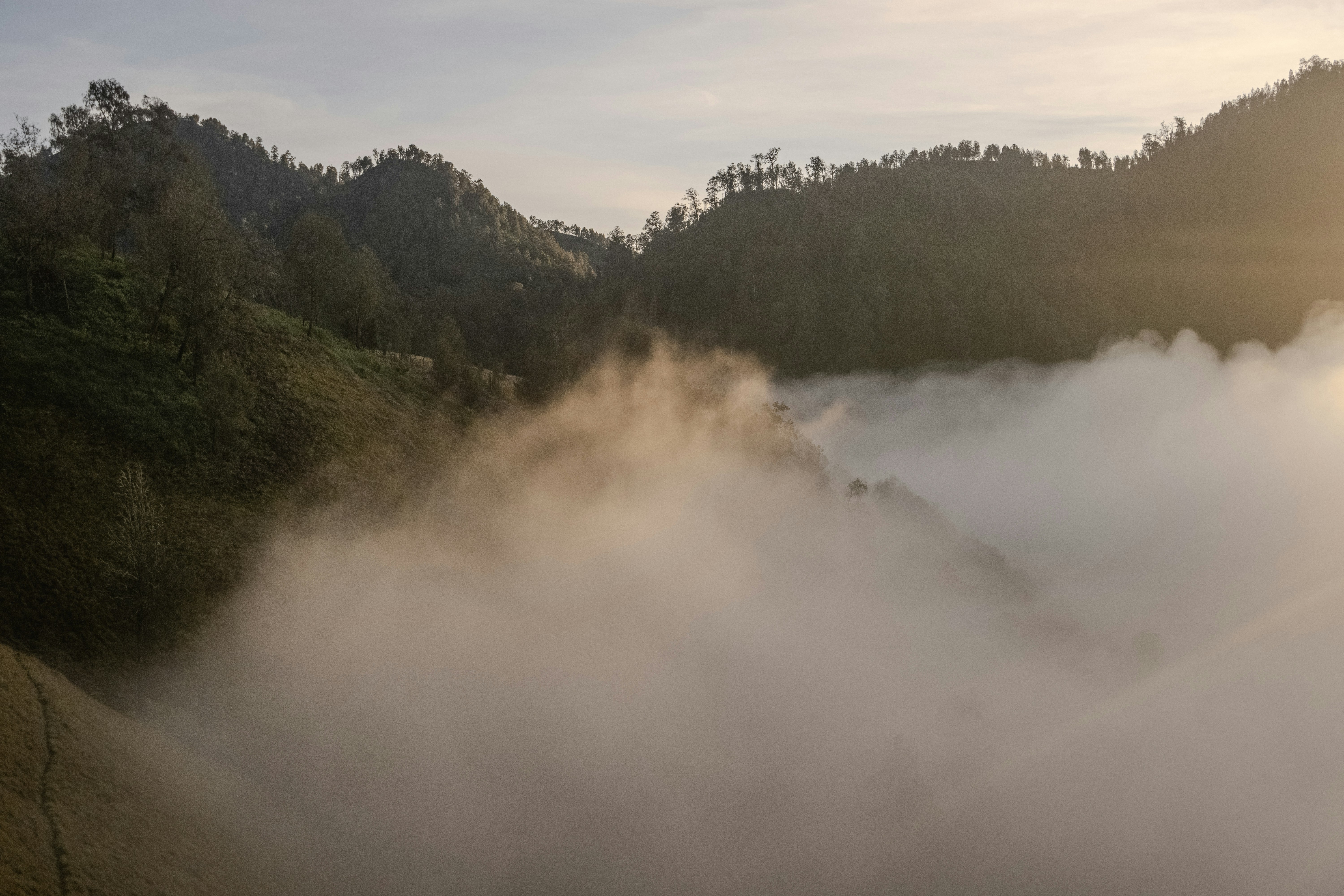 A higher hill during sunrise at Ranu Kumbolo site, surrounded by clouds.