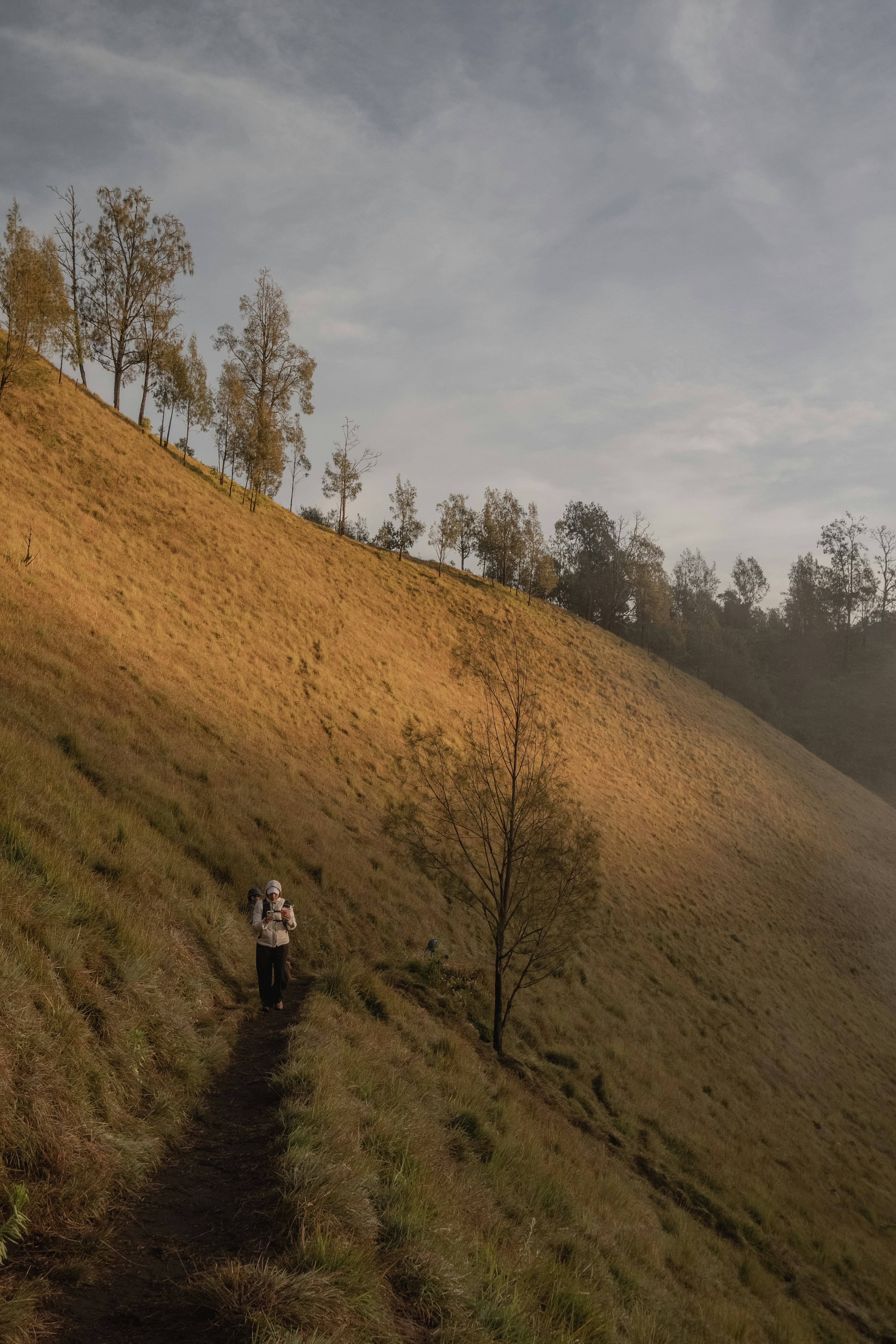 A higher hill during sunrise at Ranu Kumbolo site.