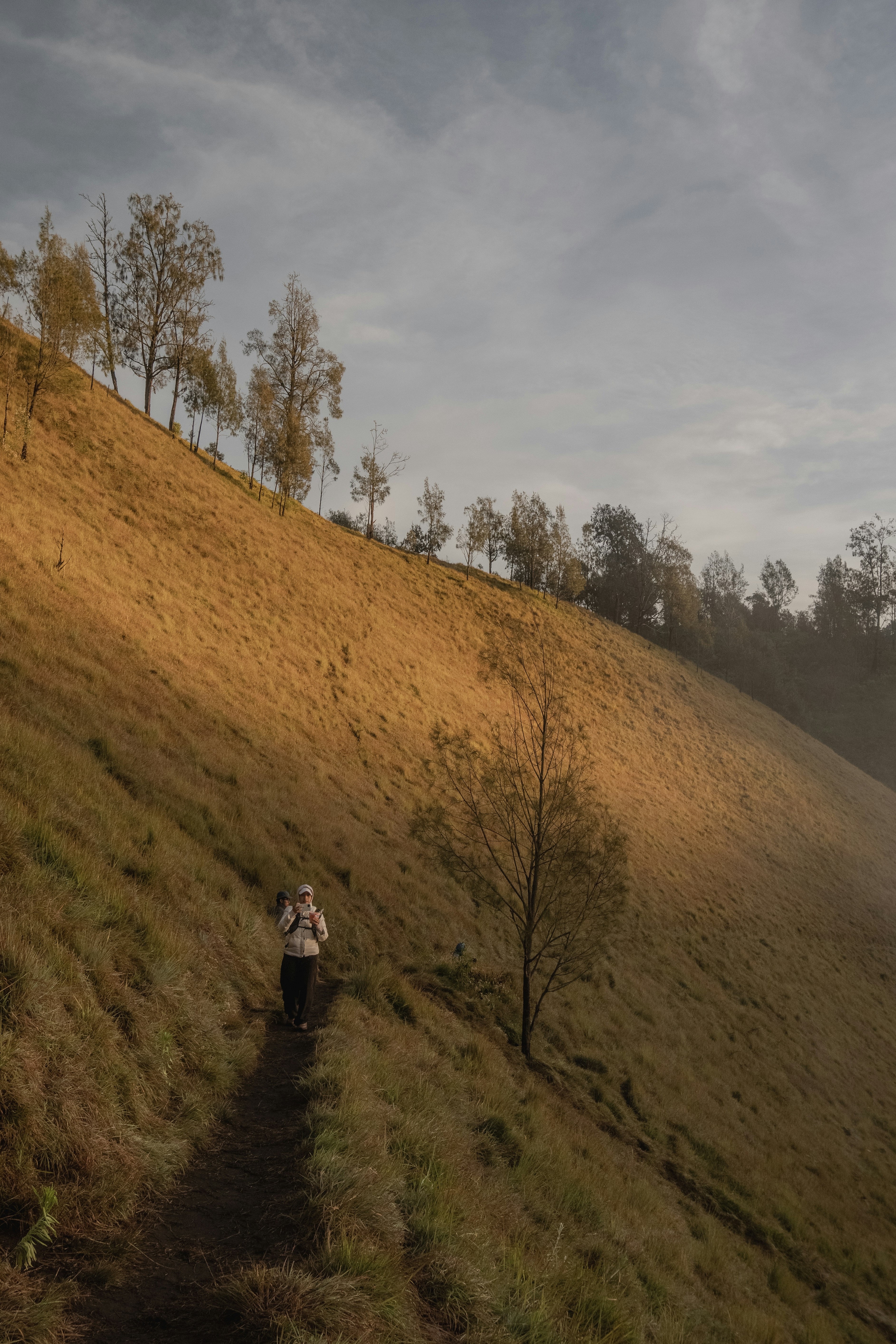 A higher hill during sunrise at Ranu Kumbolo site.
