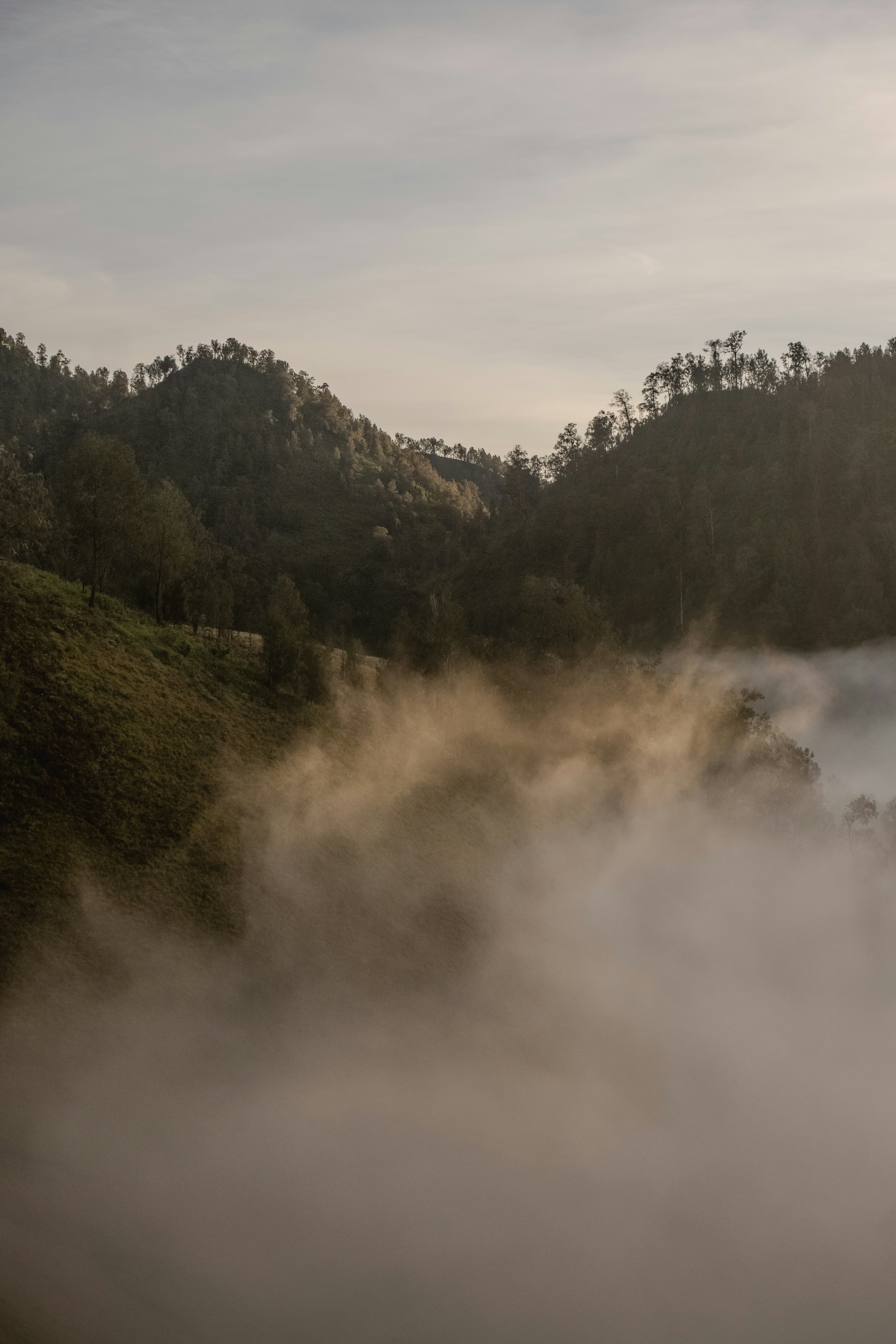 Mist Shrouded Ridge at Dusk
