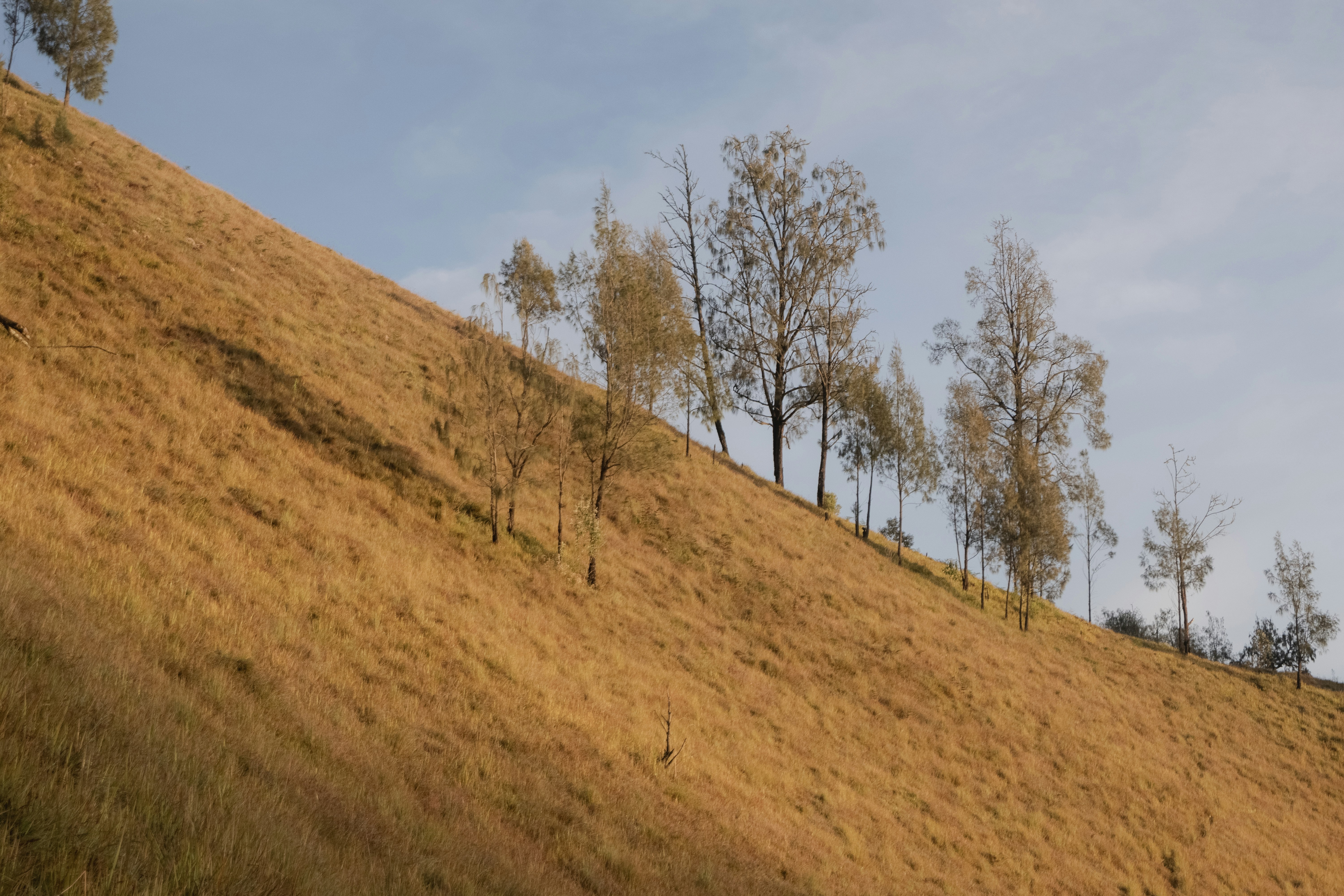 Sun's light enlightening part of a hills near Ranu Kumbolo Lake, during sunrise.