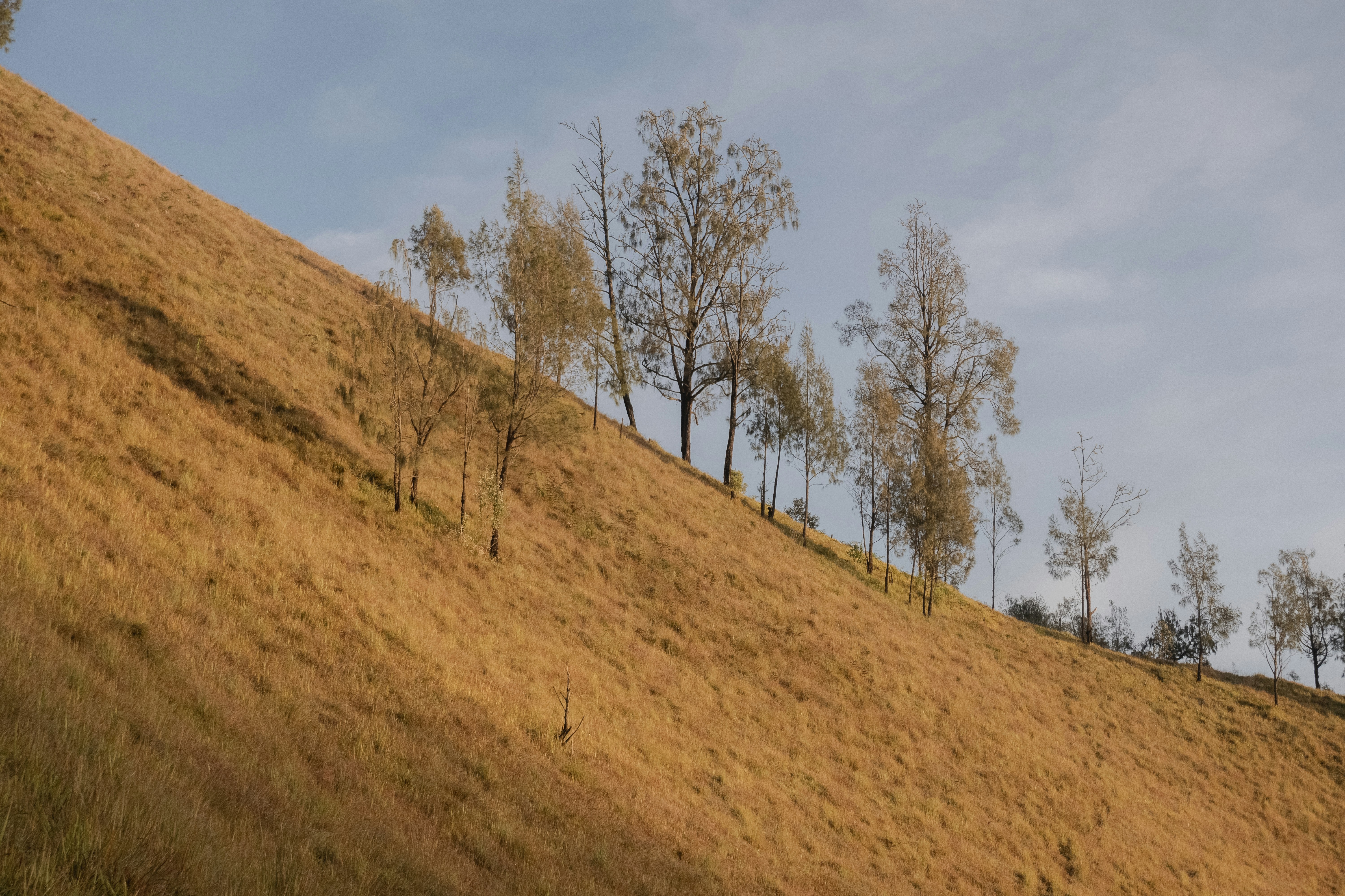 Sun's light enlightening part of a hills near Ranu Kumbolo Lake, during sunrise.