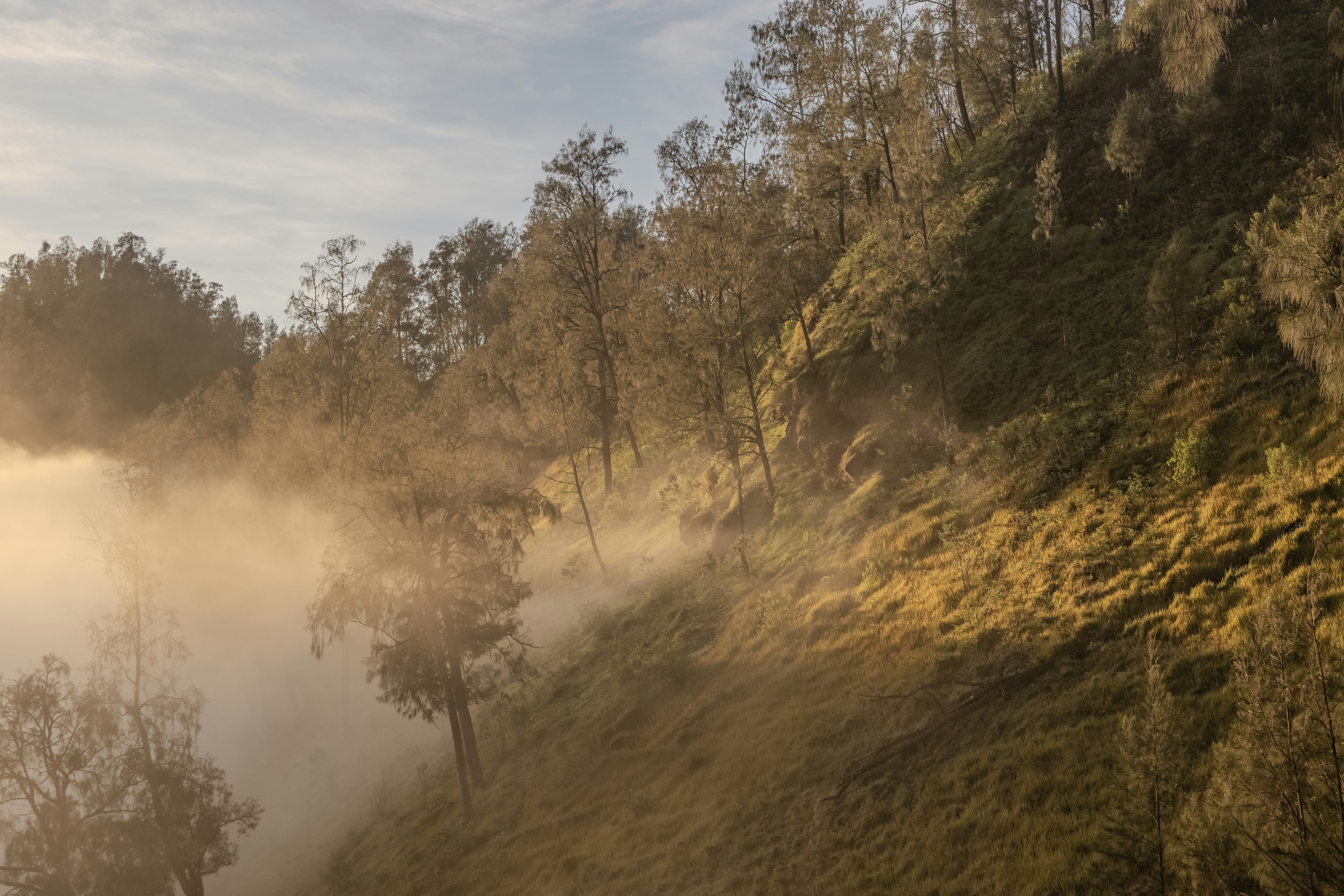 Autumn Mist Clings to a Sloping Forested hillside