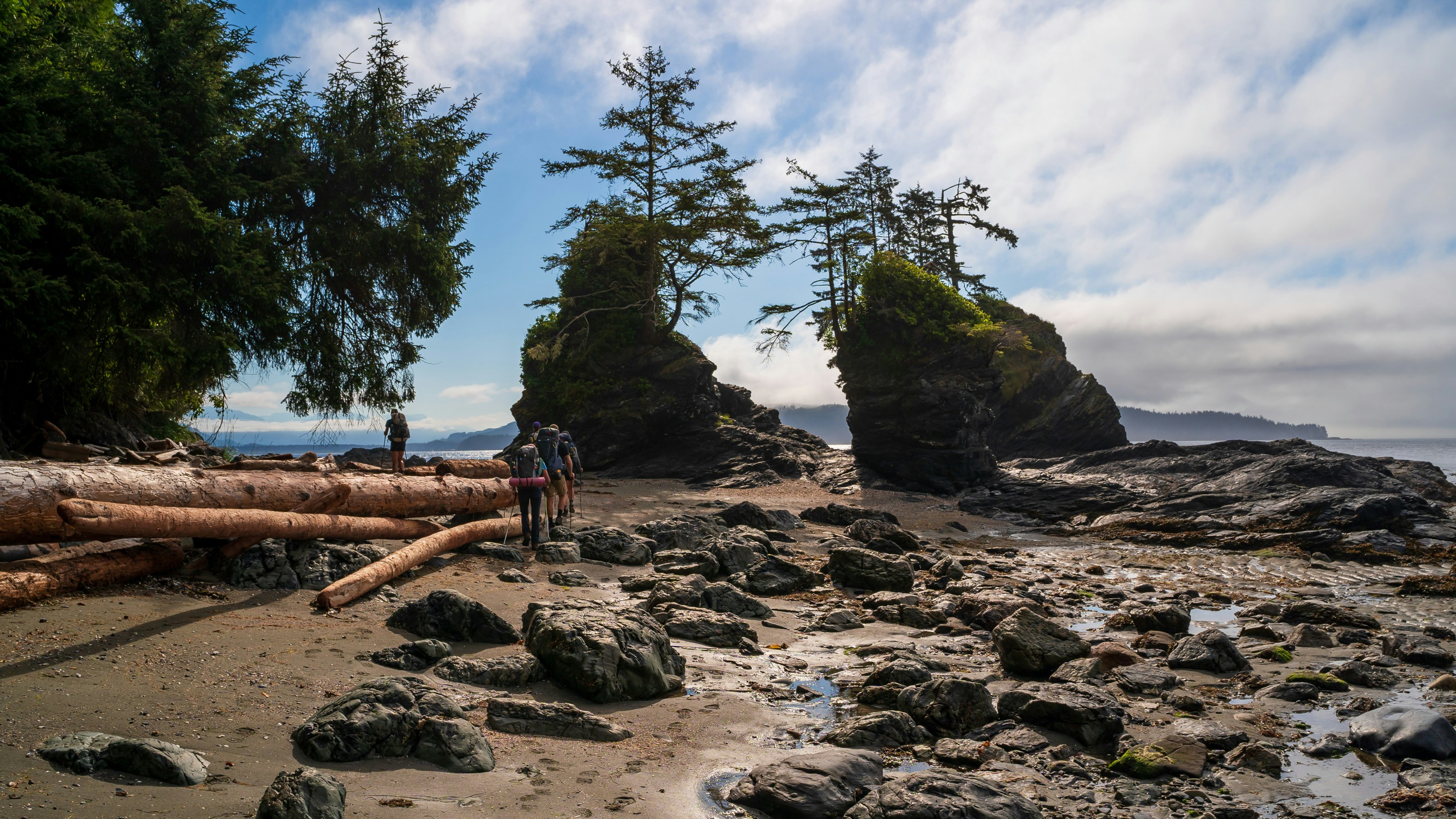 Tide-Worn Giants: A Forested Archipelago Meet the Shore