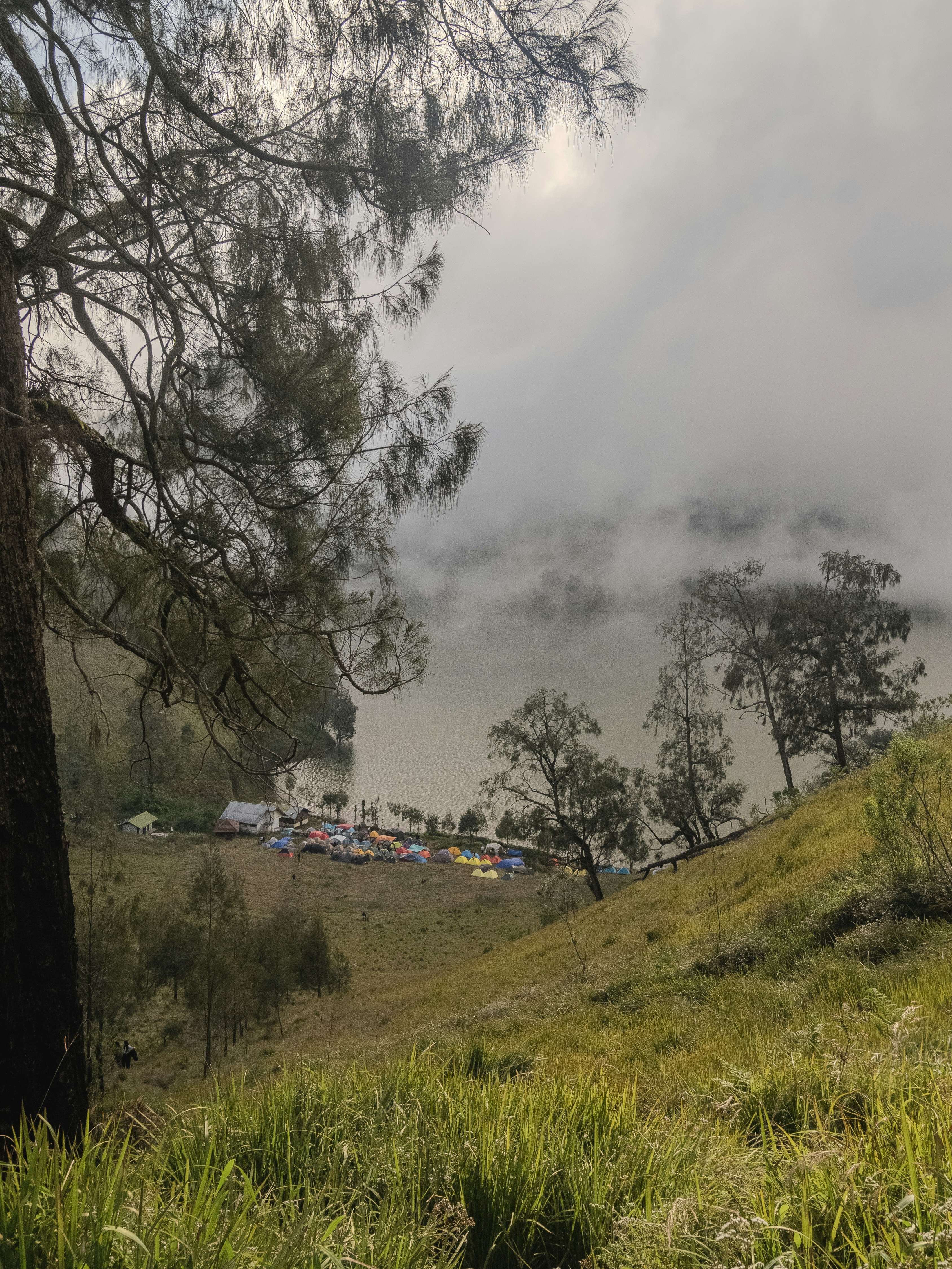 Campground by Misty Lake: Tents Dot the Sloped Meadow