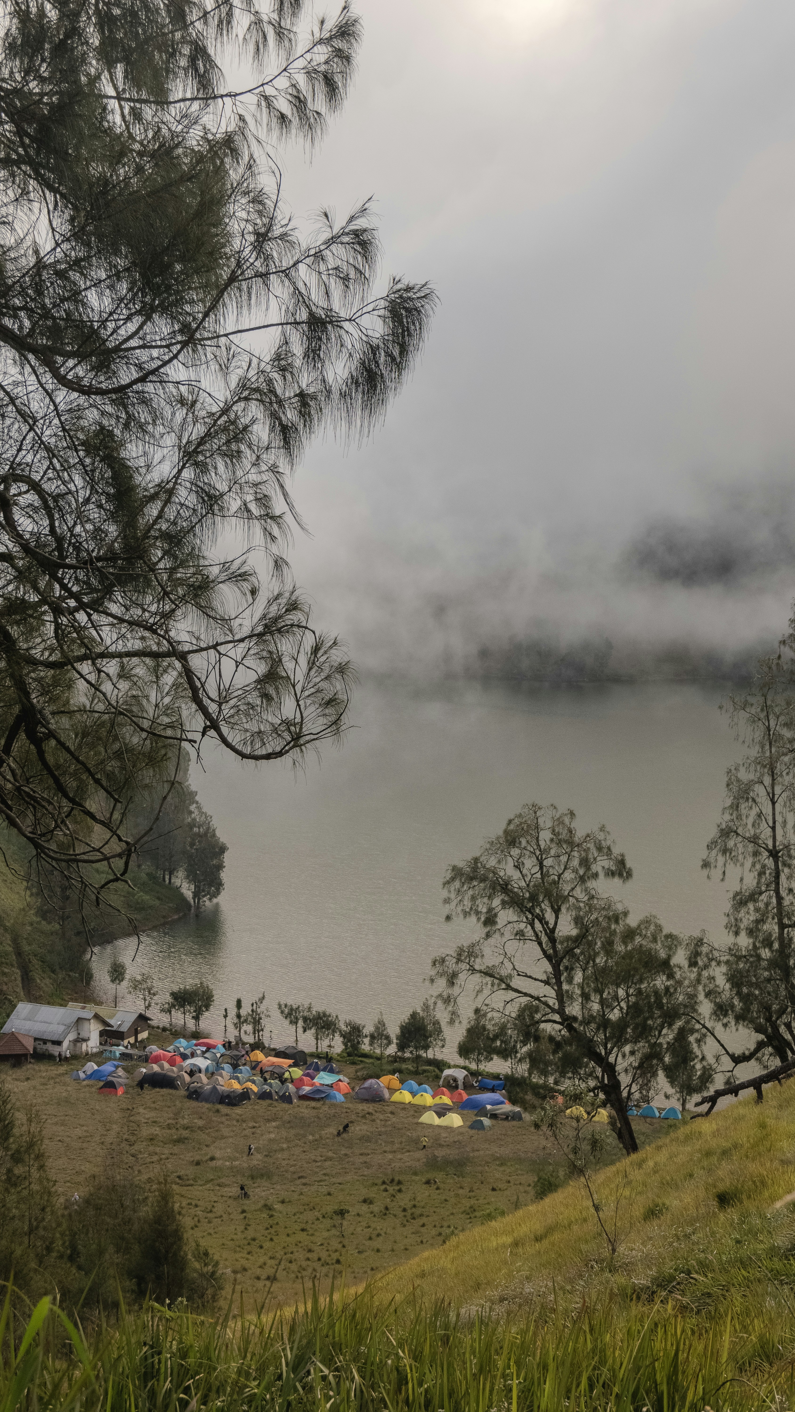 Campground by the Misty Lake: A Patchwork of Tents and Trees
