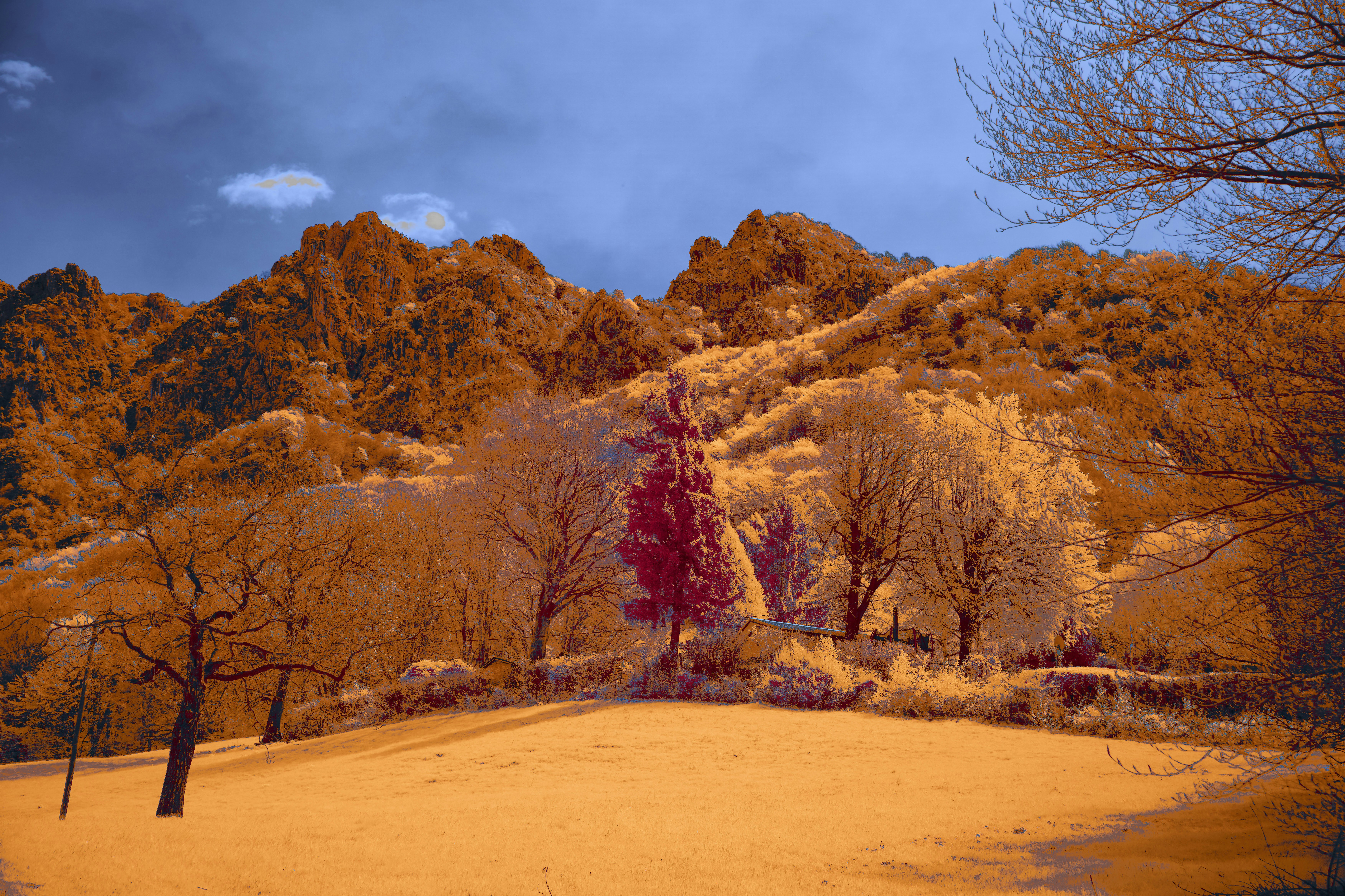 Autumn Hillside Under a Blue Sky