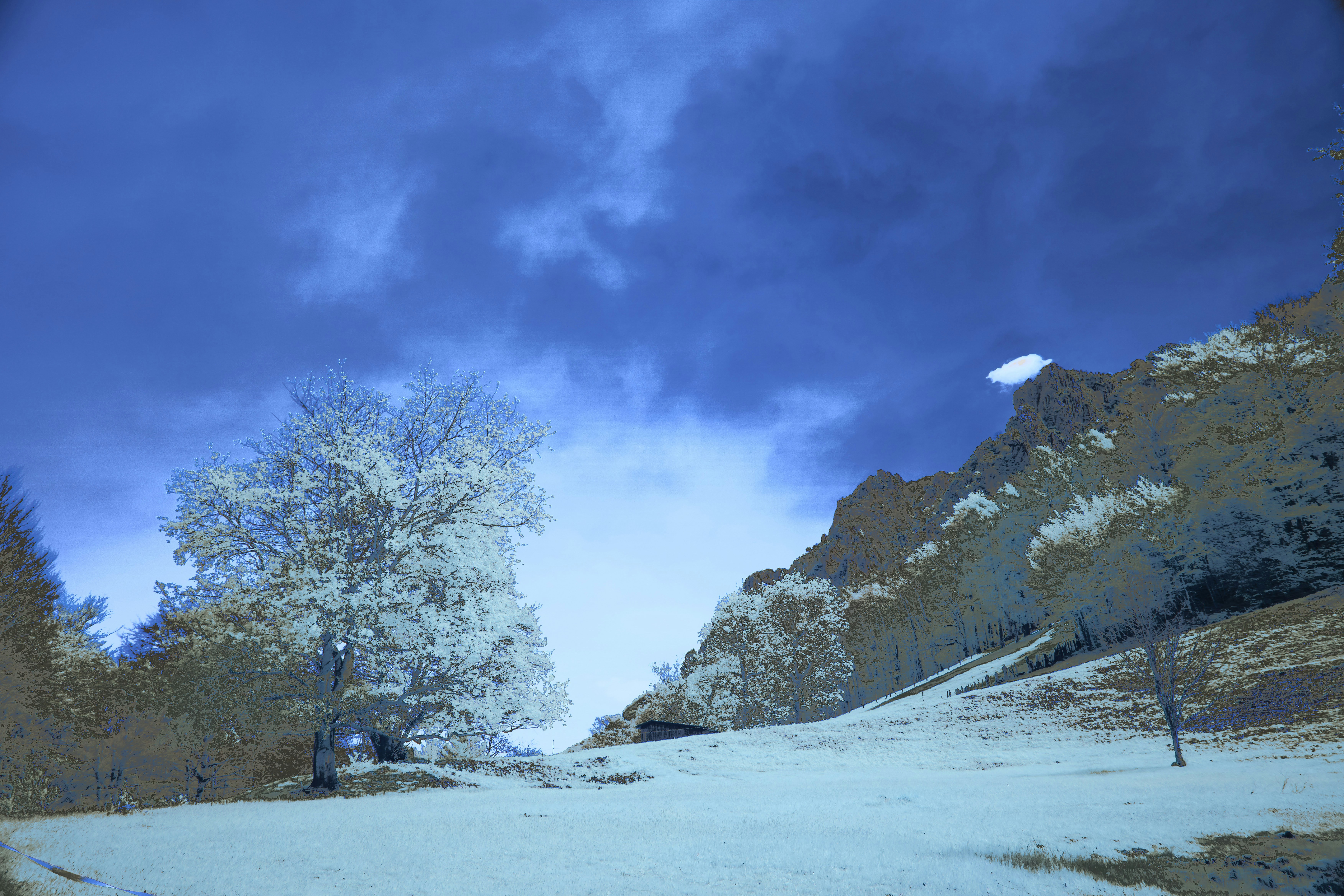 Icy Blue Ridge Under a Velvet Sky