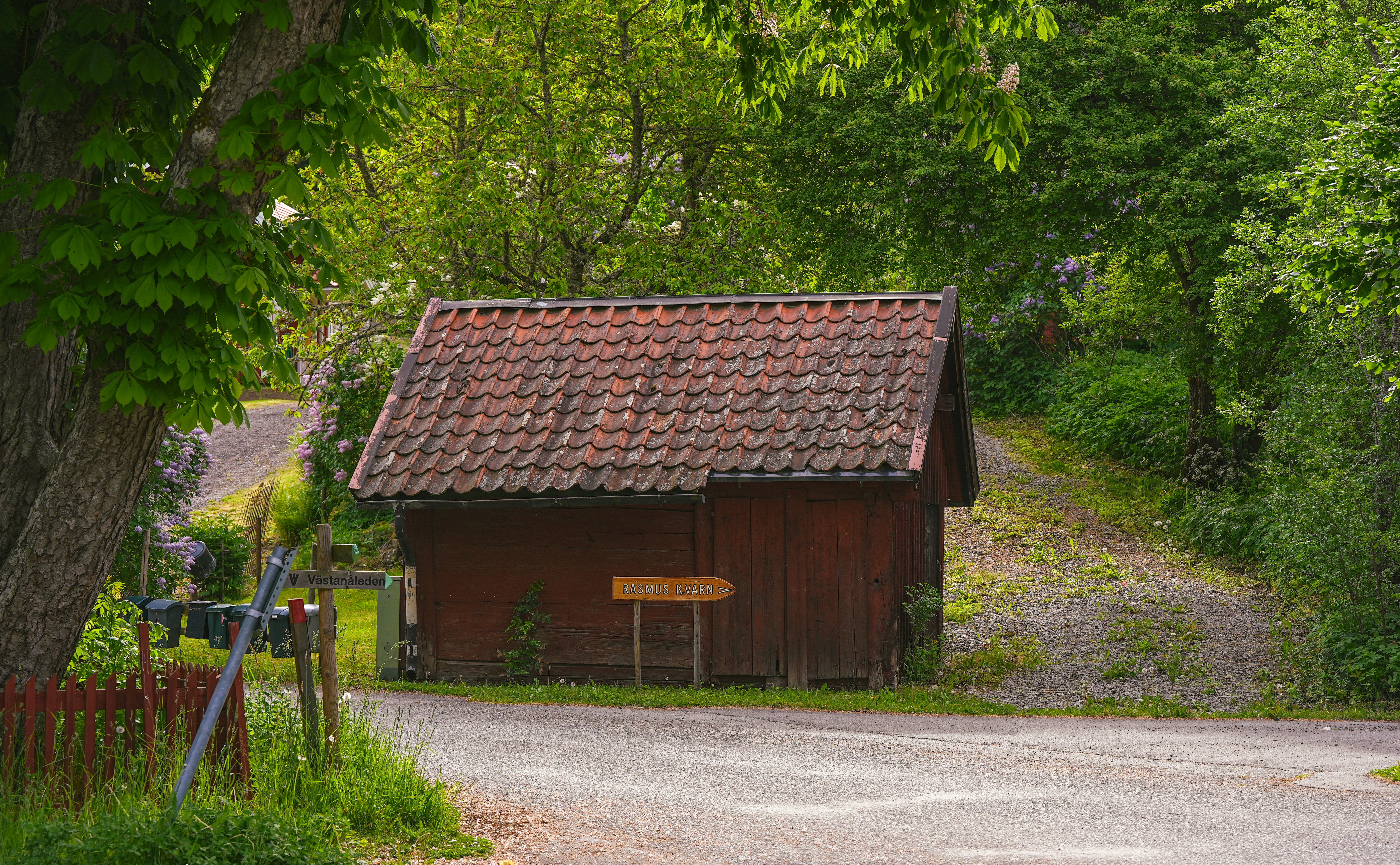The Little Wooden Shed by the Green Lane