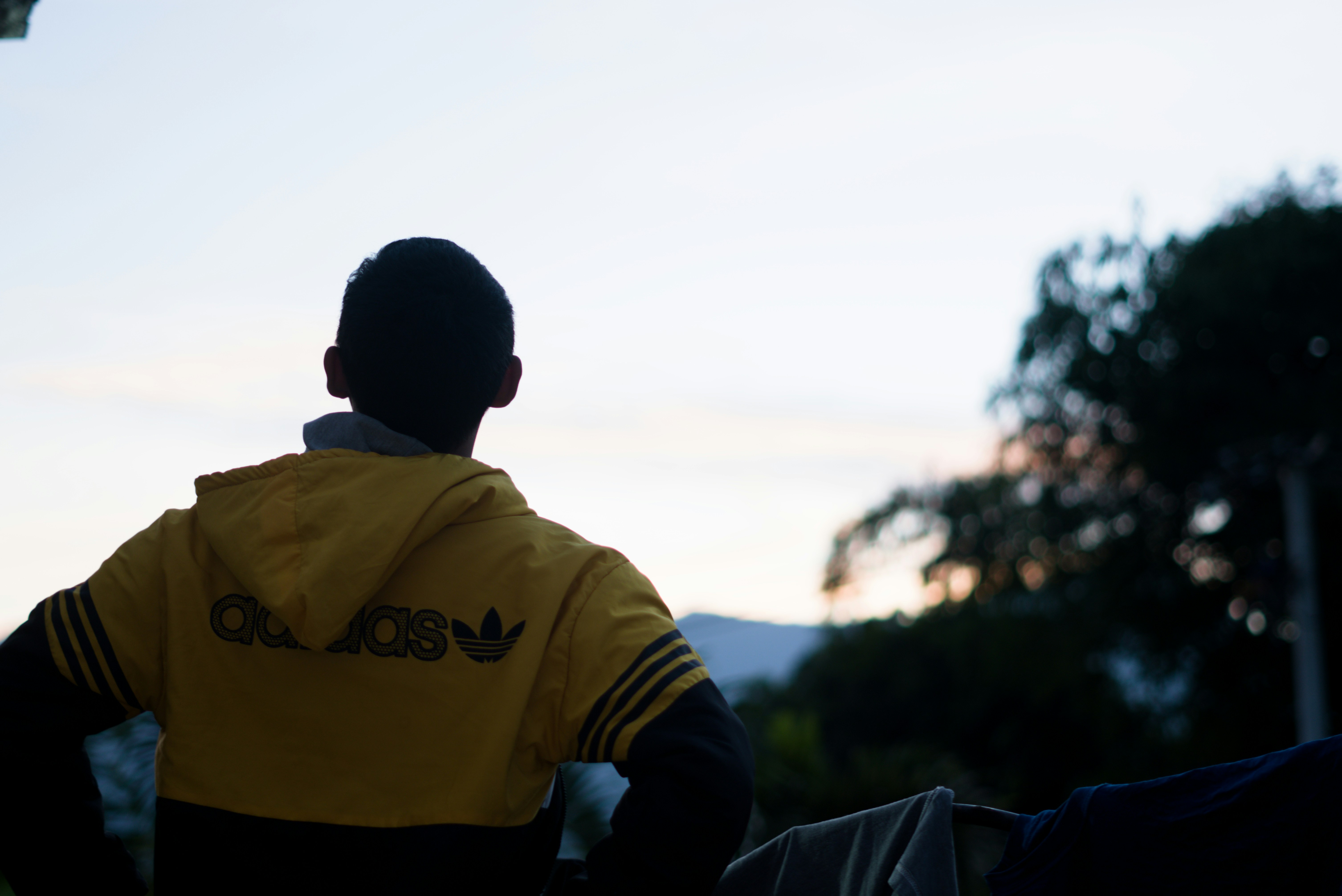 Back View in a Yellow Adidas Windbreaker at Dusk